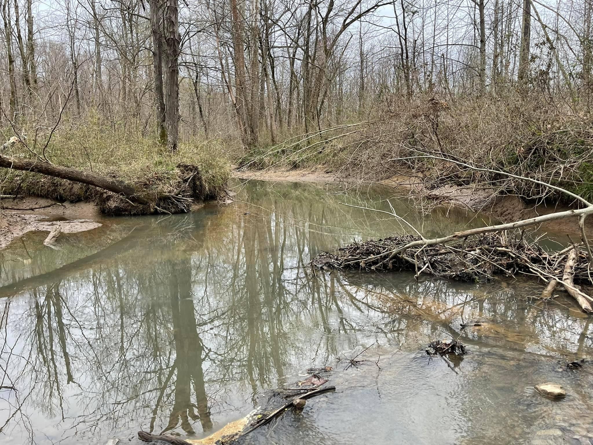 279 Acres, Burna, KY 42028 | Land and Farm