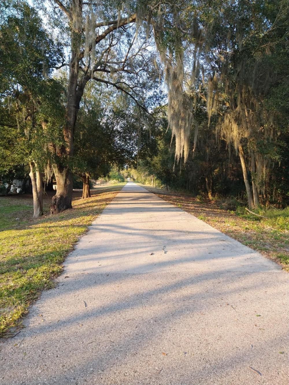 881 Conine Dr W, Winter Haven, FL 33881 | Land and Farm