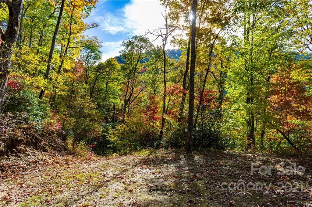 8.6 Acres, Lot 17/20 Black Rock Road, Qualla, NC 28719 | Land and Farm