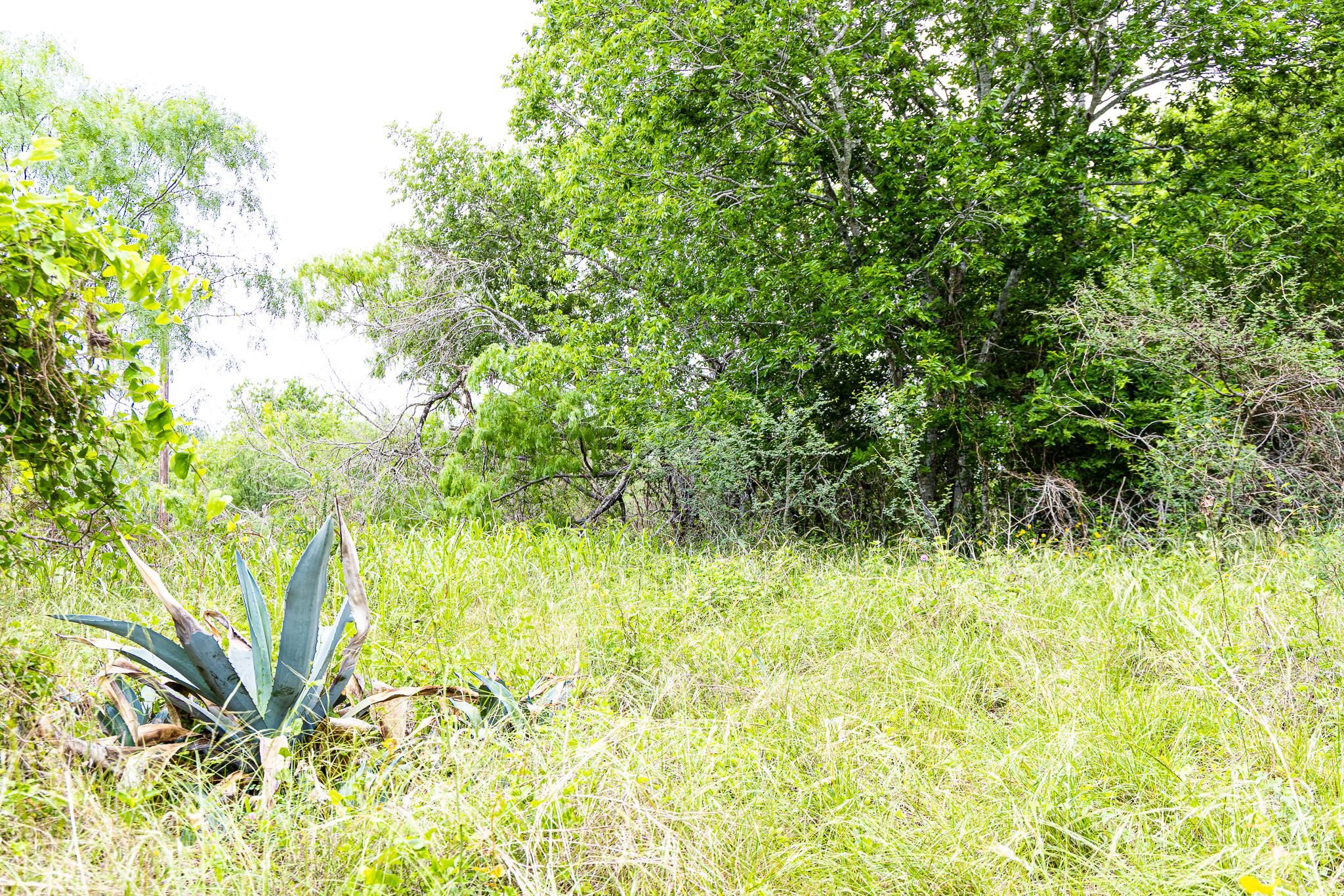 11 Acres, Bellevue Cemetery Rd, Cuero, TX 77954 | Land and Farm