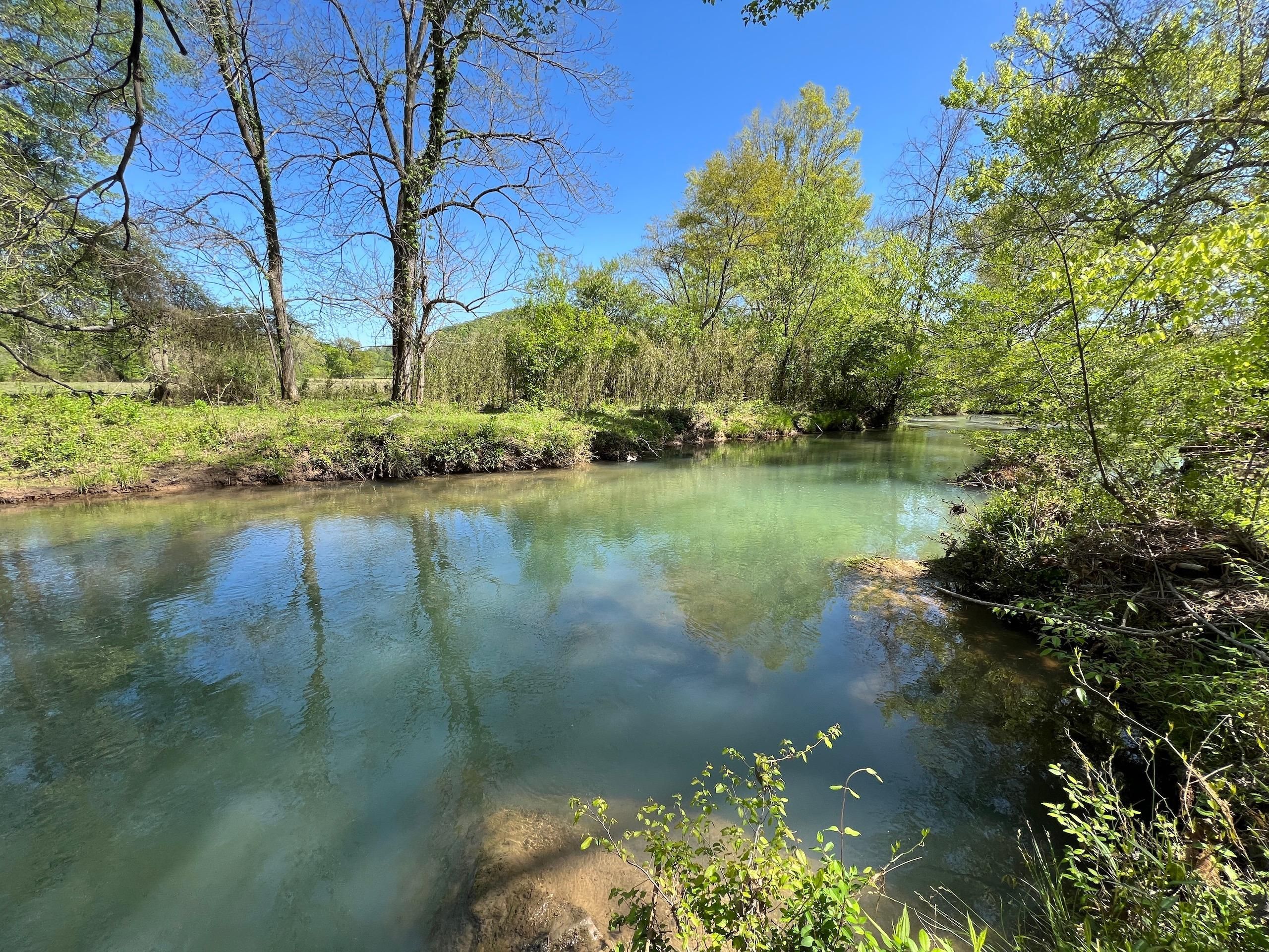 County Road 41, Lot#Wp001, Gaylesville, AL 35973 | Land and Farm