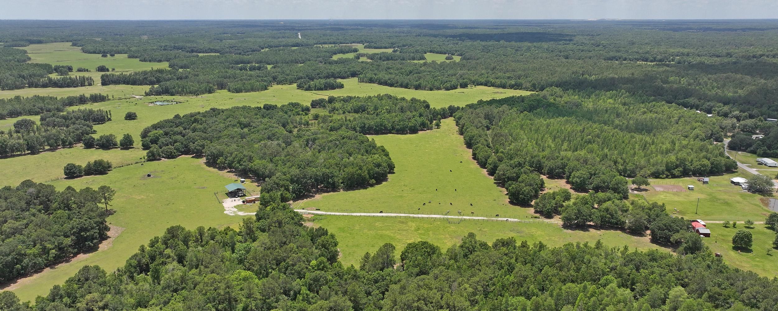 0 Rockridge Road, Lakeland, FL 33809 | Land and Farm