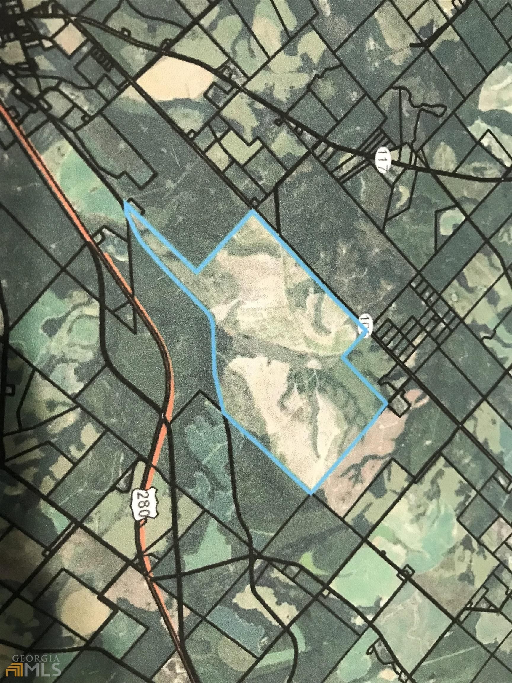 1,049.52 Acres, 00 Chauncey Rhine Highway, Rhine, GA 31077 | Land and Farm