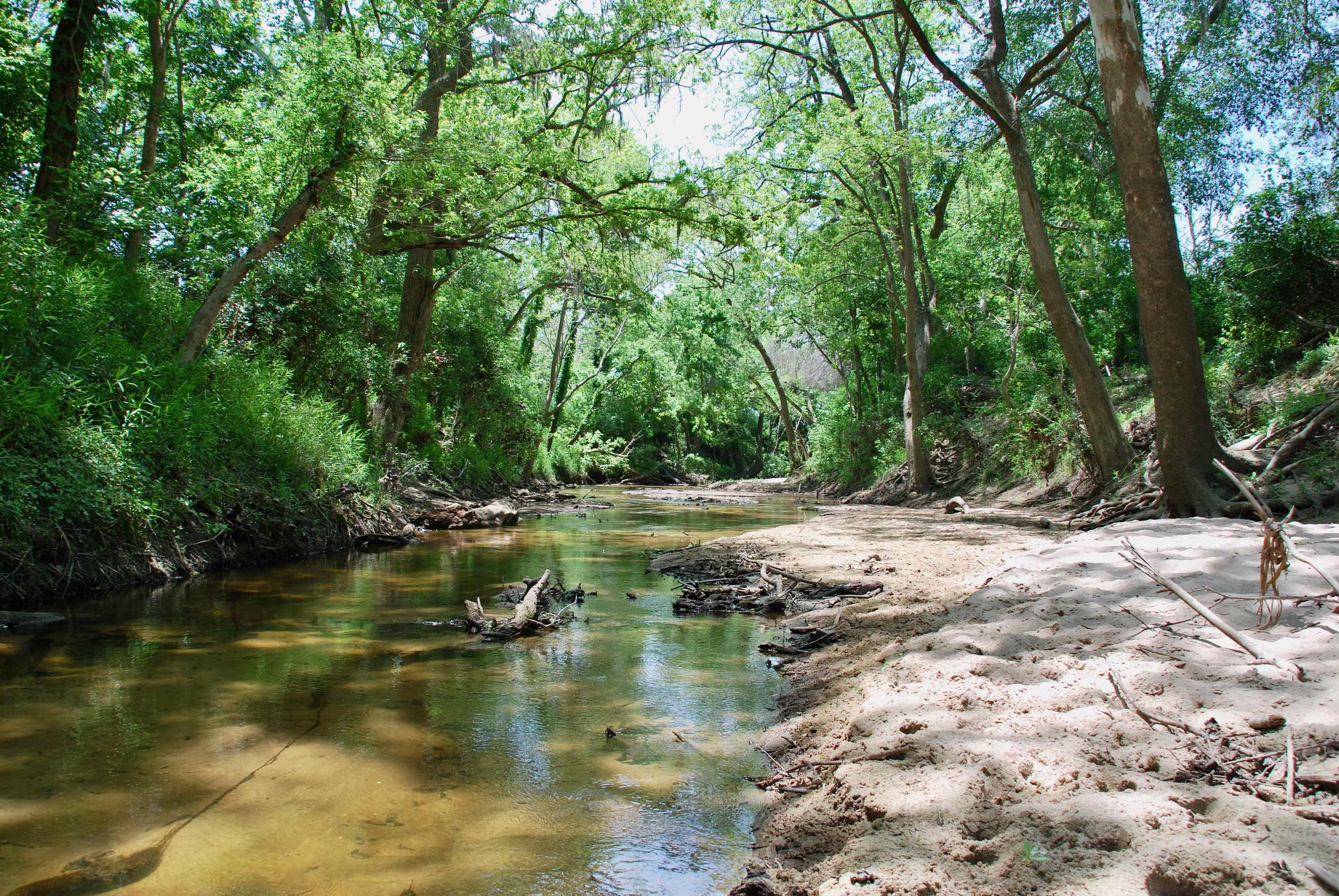 228.7 acres in Sublime, TX, 77964 | Land and Farm