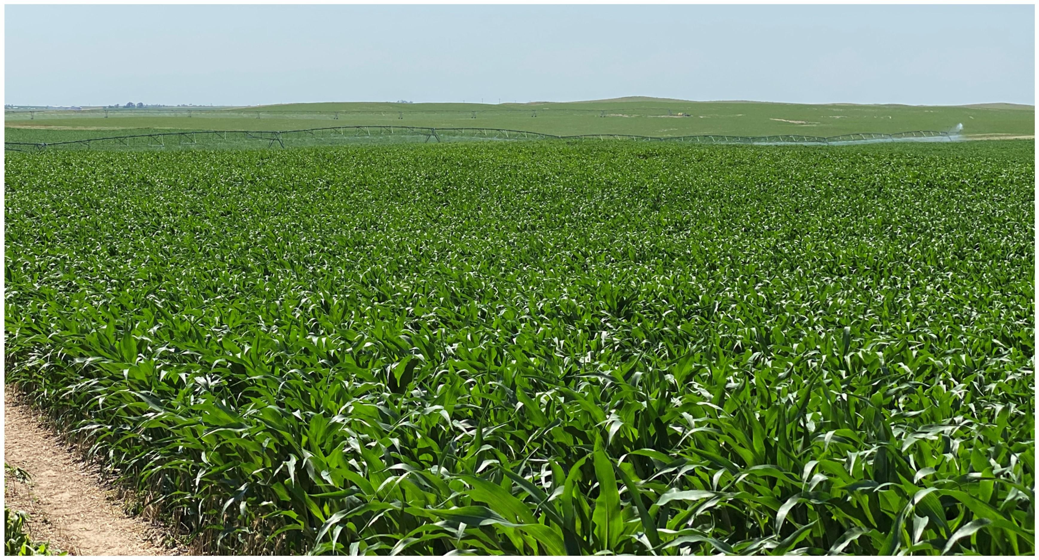 640 Acres, Dickens, NE 69132 | Land and Farm