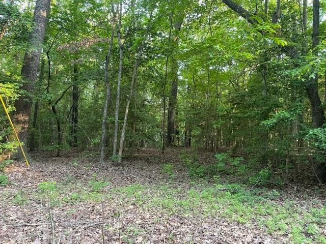 0.46 Acres, Lot 5 Oakwood Court, Bracey, VA 23919 | Land and Farm