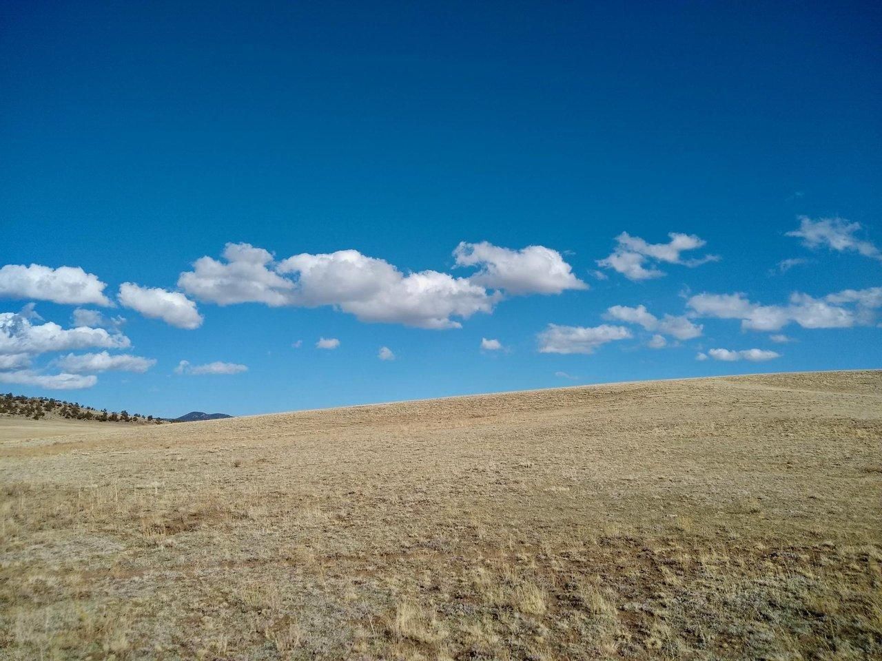 1248 Jumano Trail, Hartsel, CO 80449 | Land and Farm