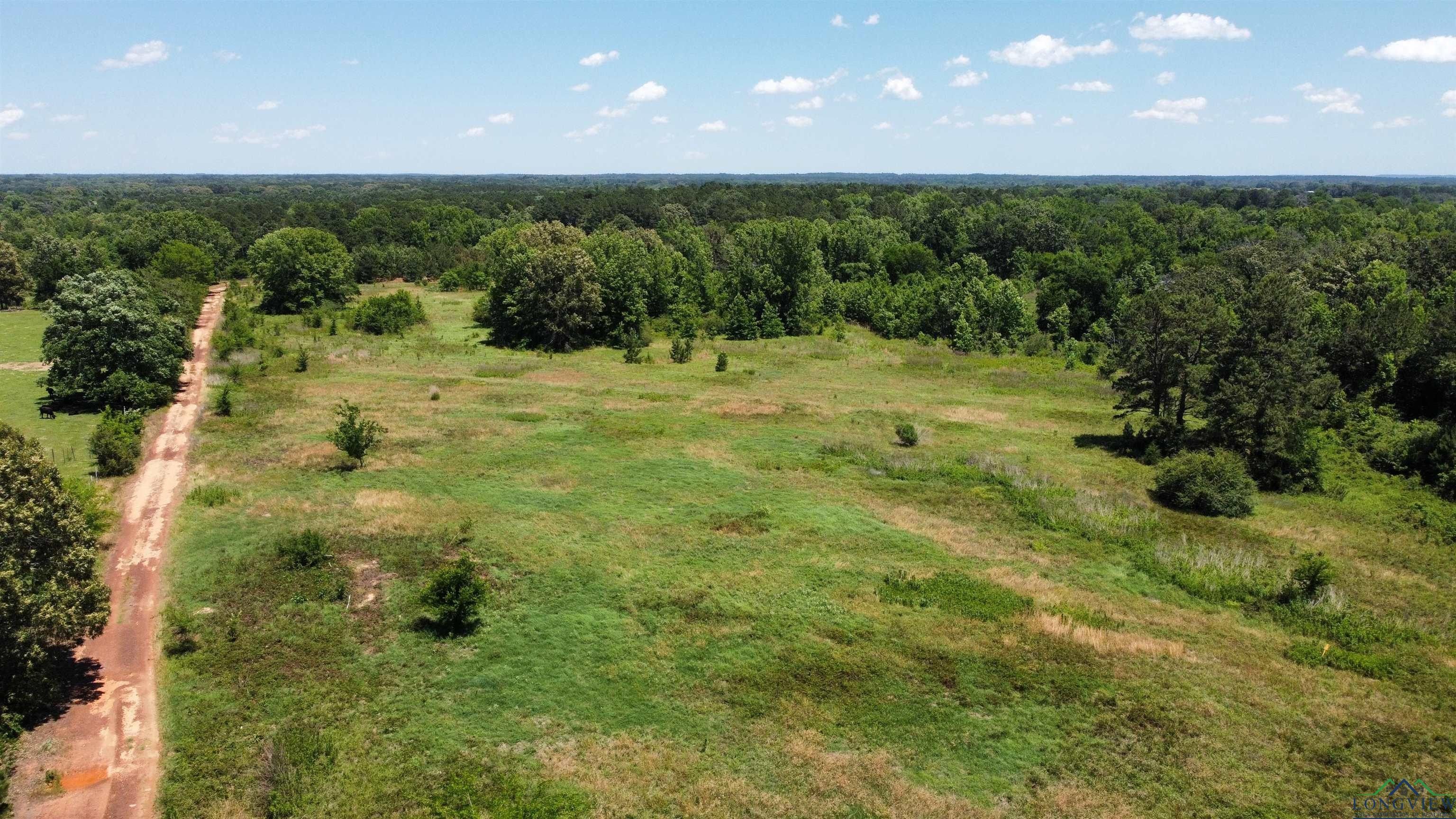 49 Acres, Tbd SH 42, Henderson, TX 75654 | Land and Farm