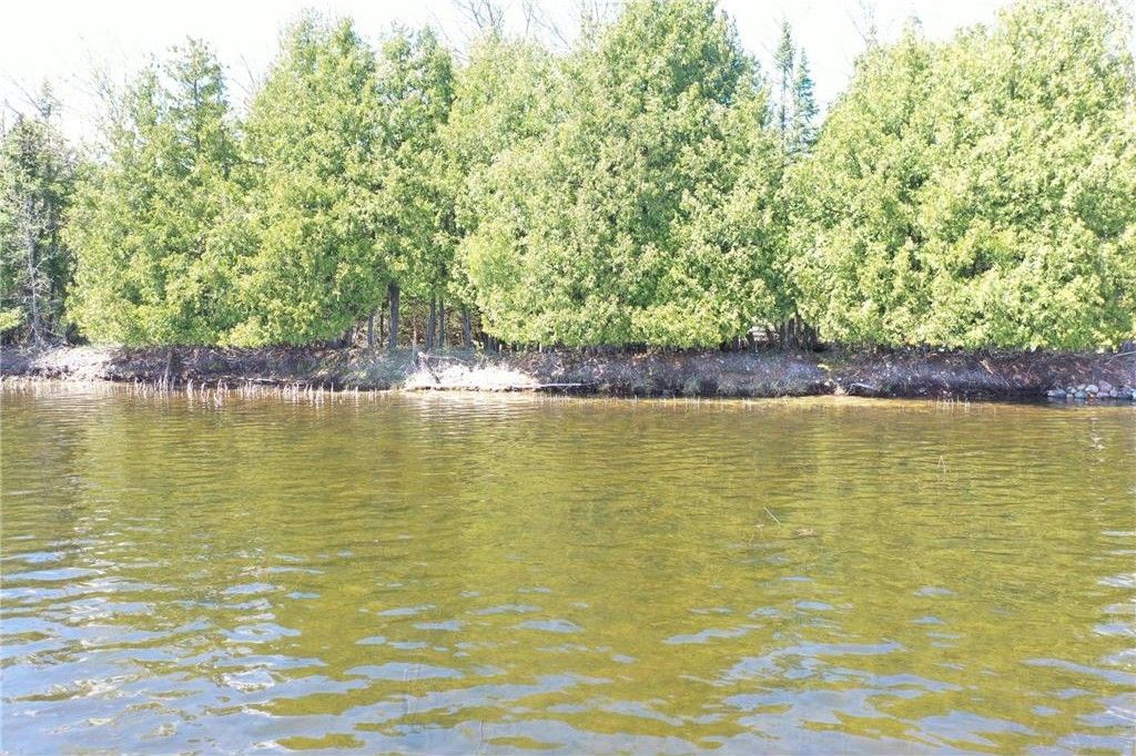 4.35 Acres, Tbd Quail Lane, Laporte, MN 56461 | Land and Farm