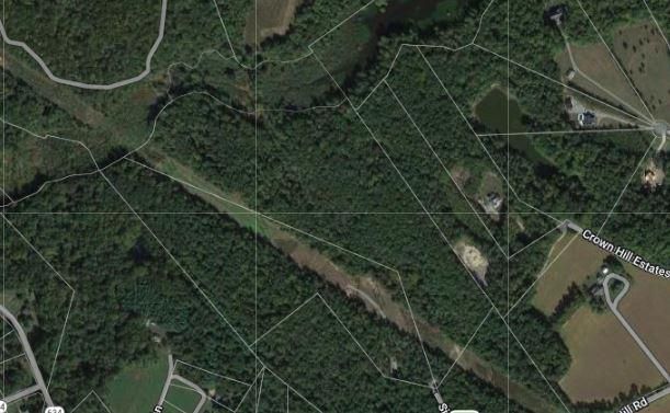 Simpkins Forest Ln, Mechanicsville, VA 23111 | MLS: 2213929 | Land and Farm