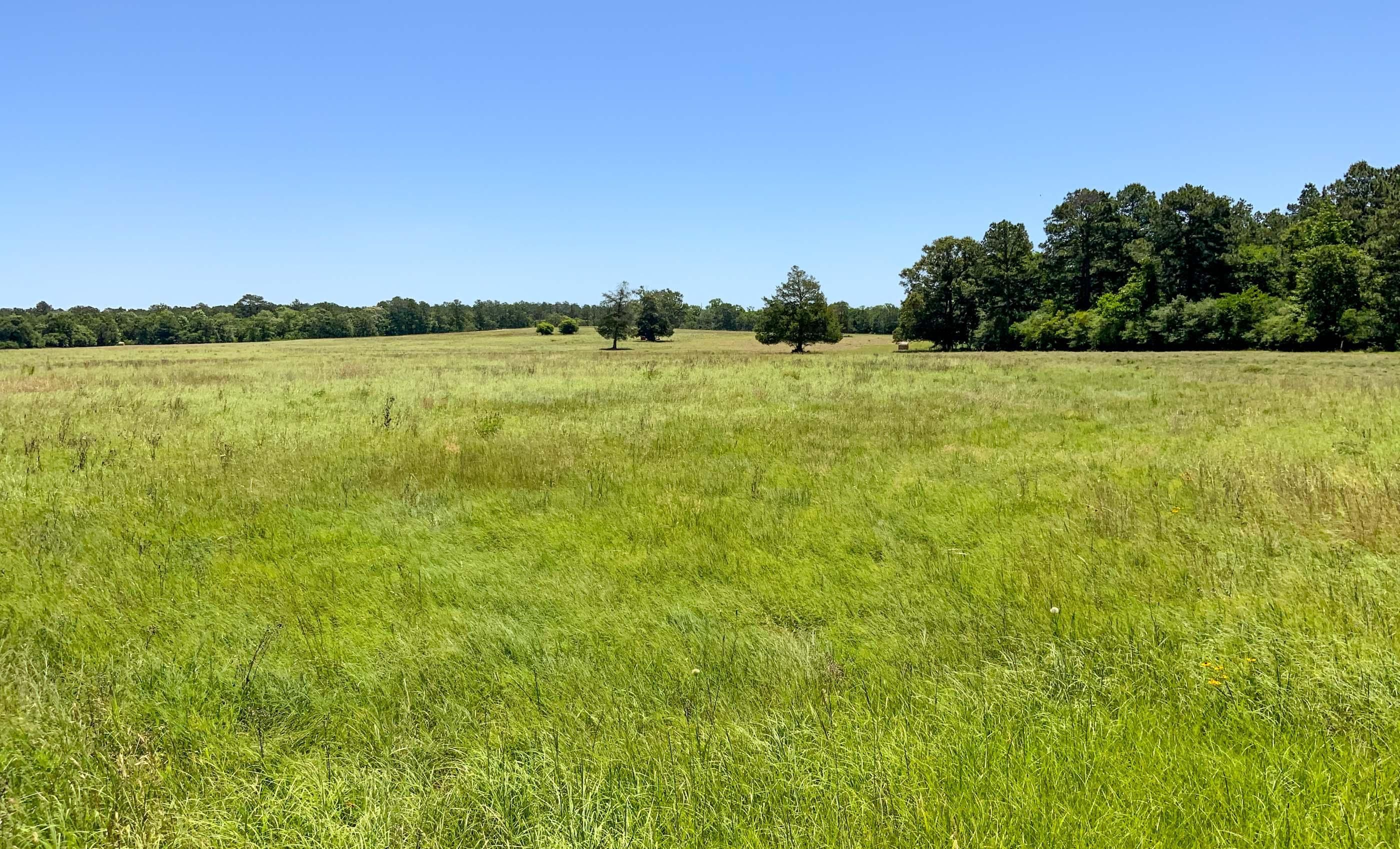 320 acres in Centerville, TX, 75833 | Land and Farm