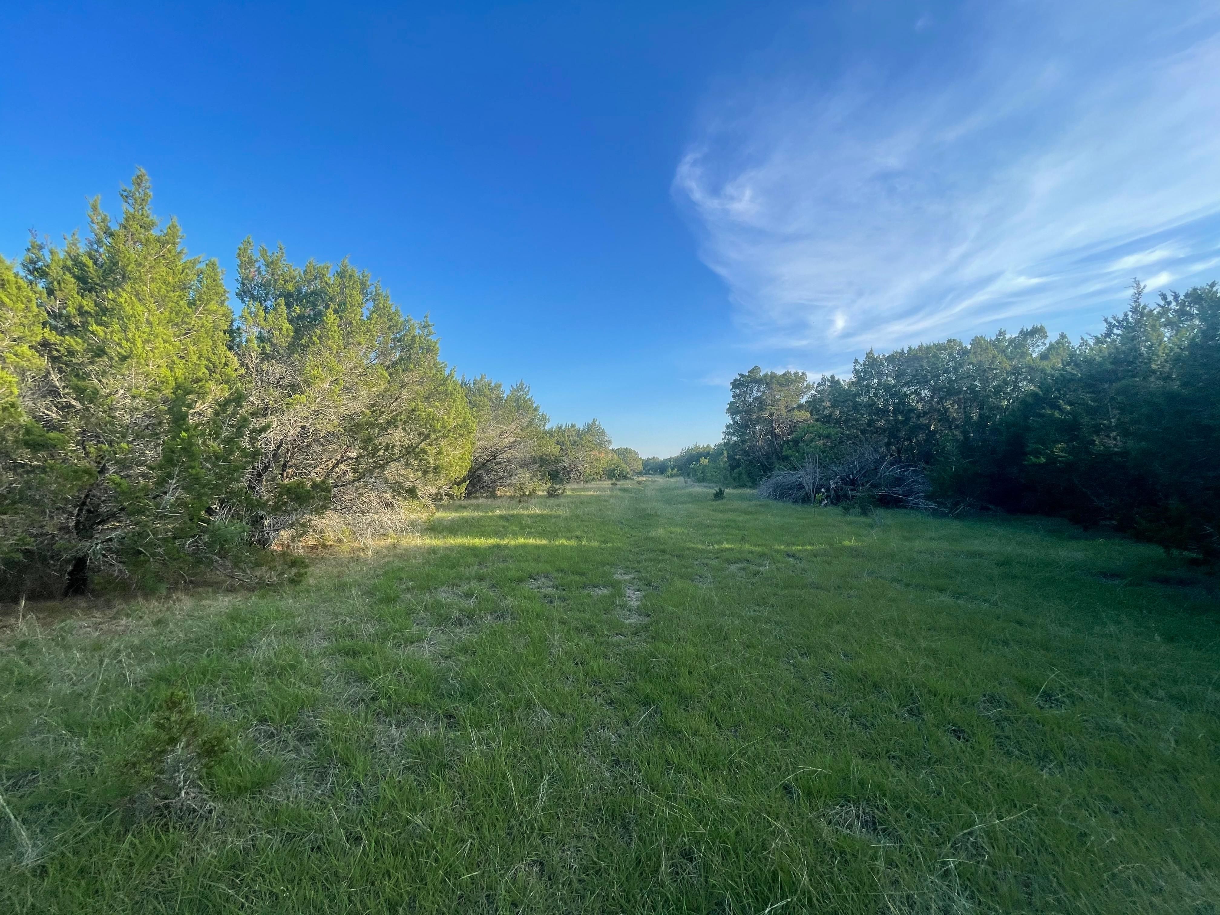 Lone Mountain Ranch, Lanham, TX 76538 | MLS: 20029124 | Land and Farm
