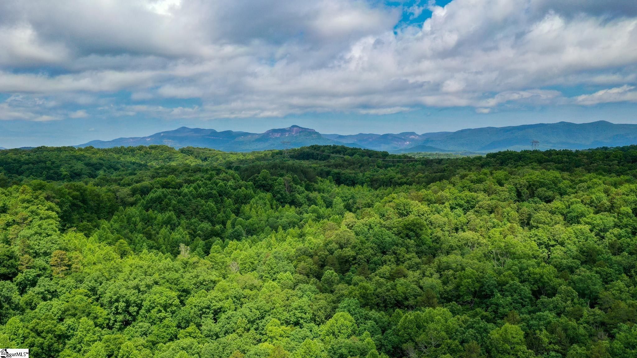 28 Acres, 170 & 174 Lake Circle Road, Marietta, SC 29661 | Land and Farm