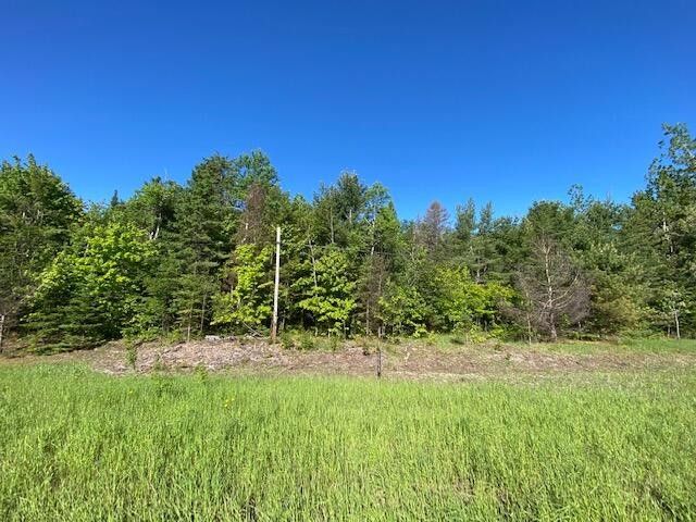 8.69 Acres, 8.69ac S M-129, Dafter, MI 49724 | Land and Farm