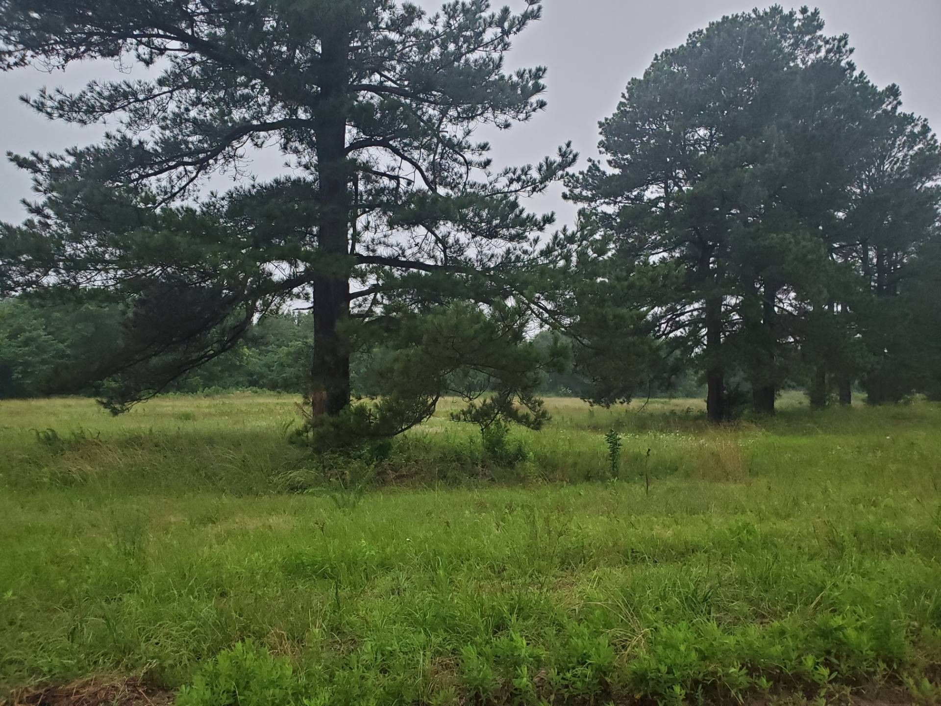 Lot 5 Little Green Acres, Hugo, OK 74743 | MLS: 11082876 | Land and Farm