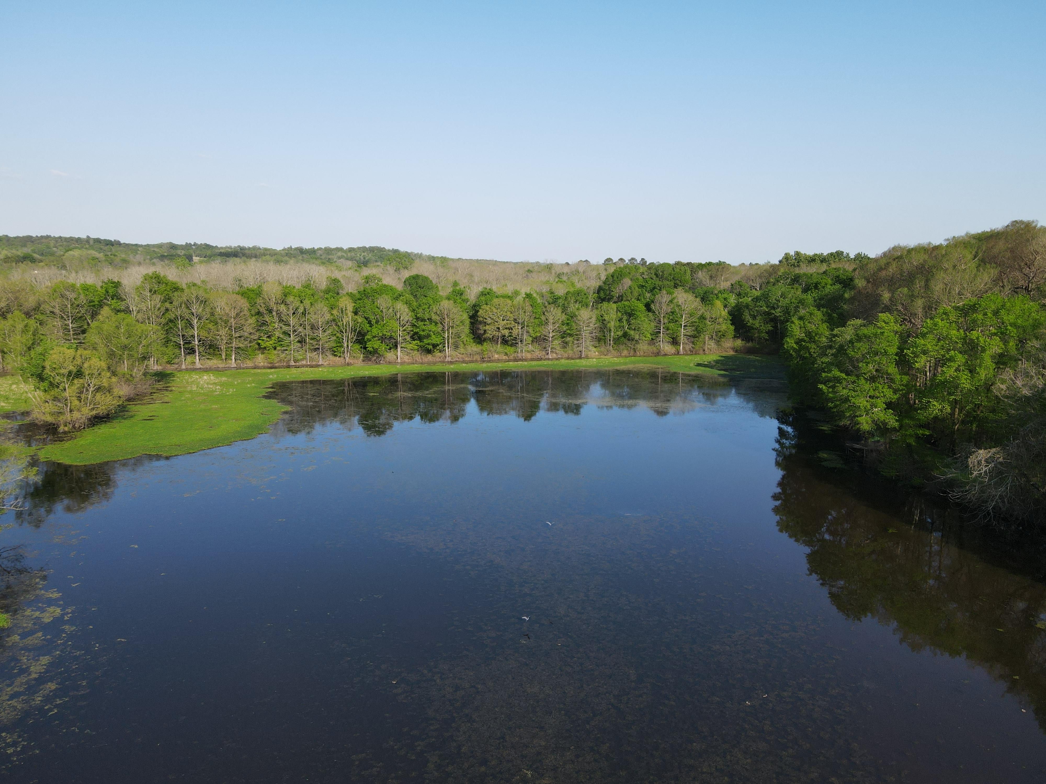 Arkansas 234, Ashdown, AR 71822 | MLS: 109344 | Land and Farm