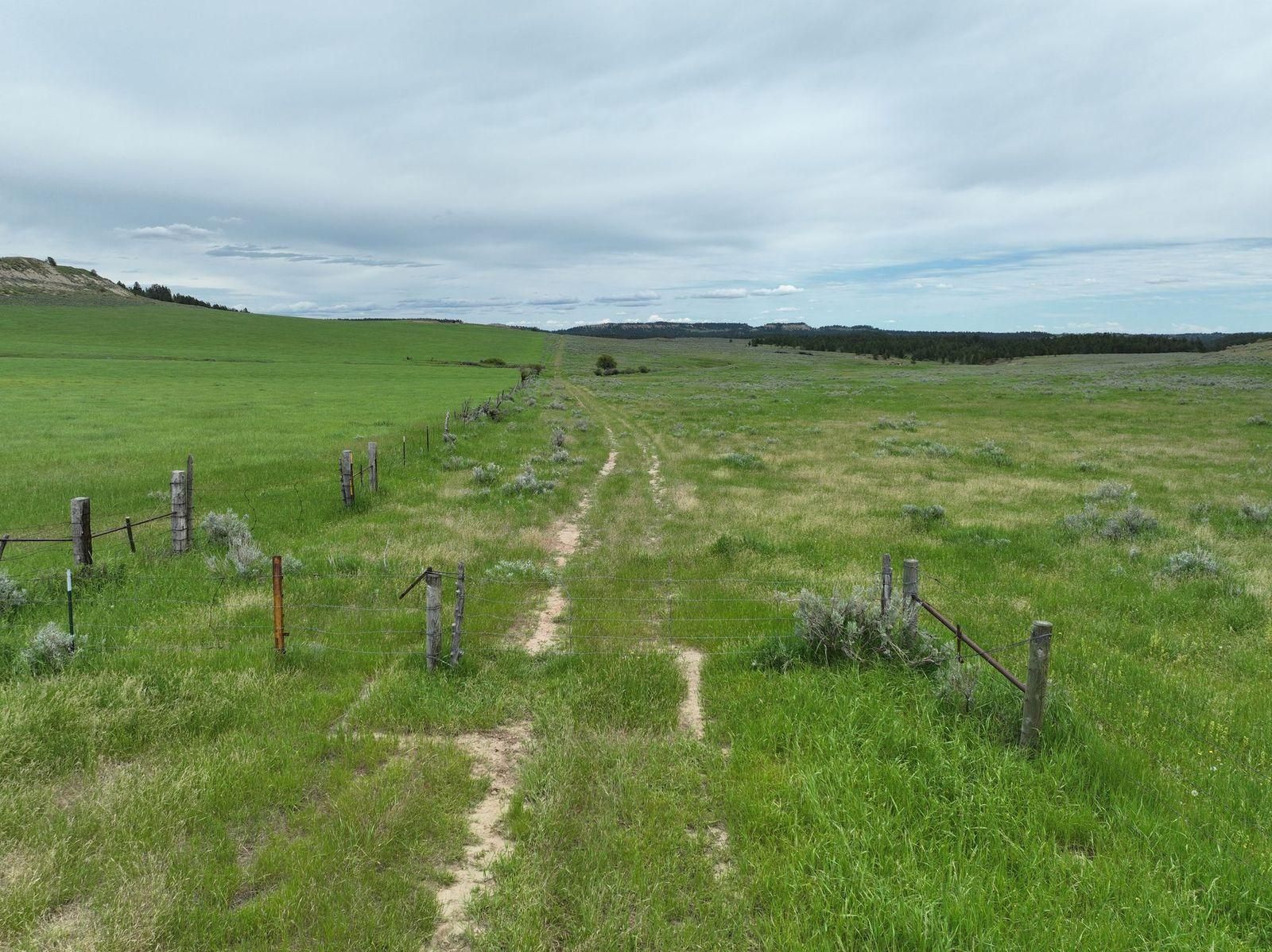 Sonnette Rd, Sonnette, MT 59713 | MLS: 329114 | Land and Farm