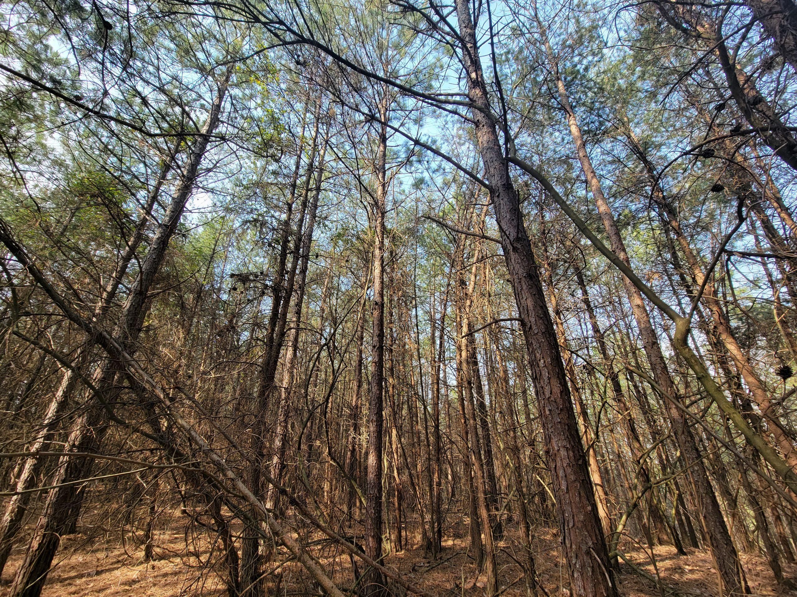 Mason County, West Virginia, Leon, WV 25123 | Land and Farm