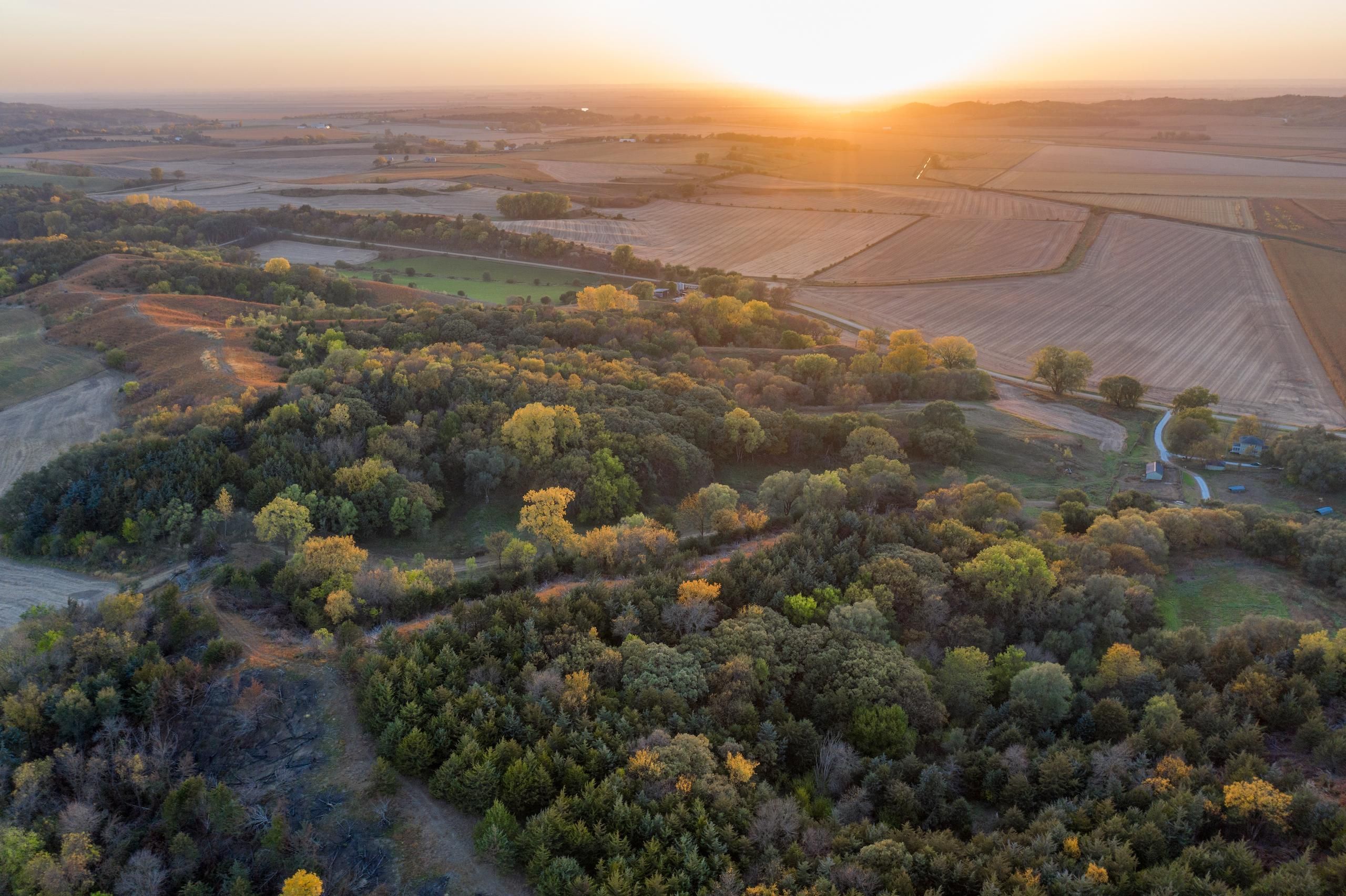 22355 Orange Avenue, Lot#WP001, Turin, IA 51040 | Land and Farm