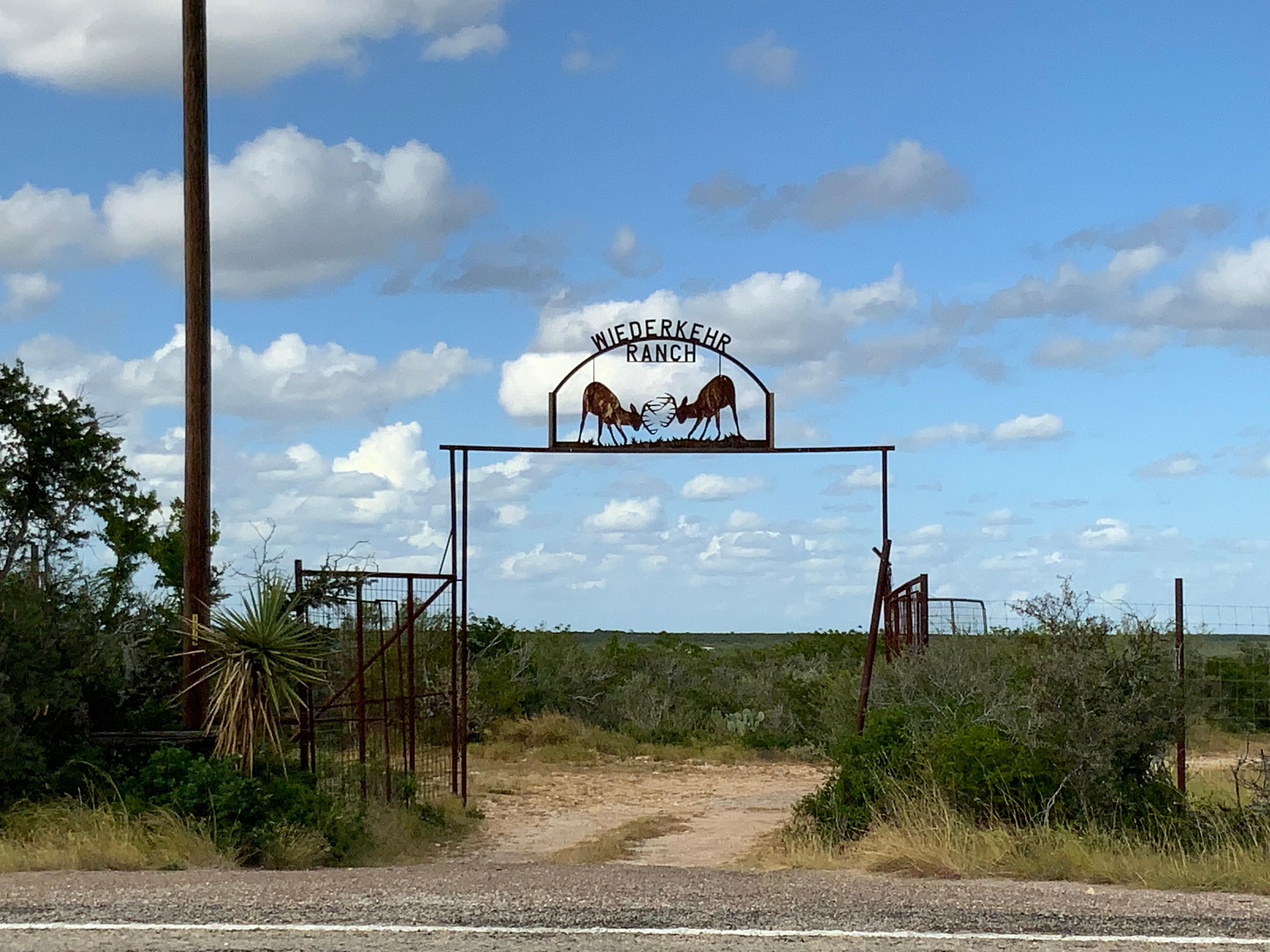 6095 Texas 339, Benavides, TX 78341 | MLS: 29964488 | Land and Farm