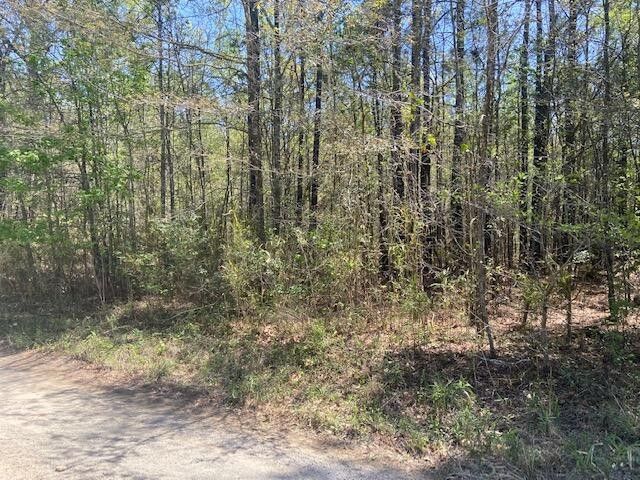 5 Acres, 0 Carson Hill Lane, Huger, SC 29450 | Land and Farm