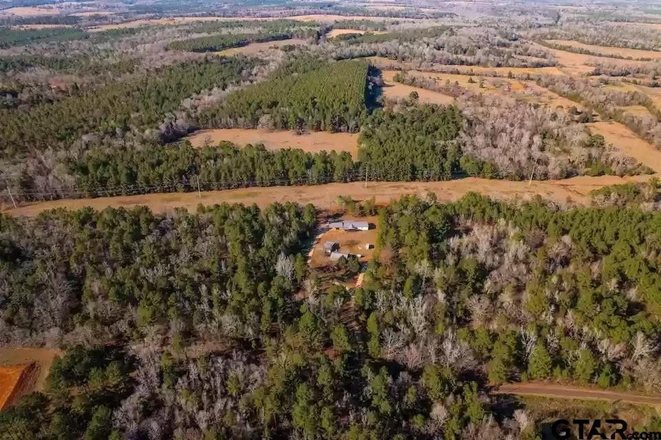 20 Acres, TBD CR 4405, Jacksonville, TX 75766 | Land and Farm