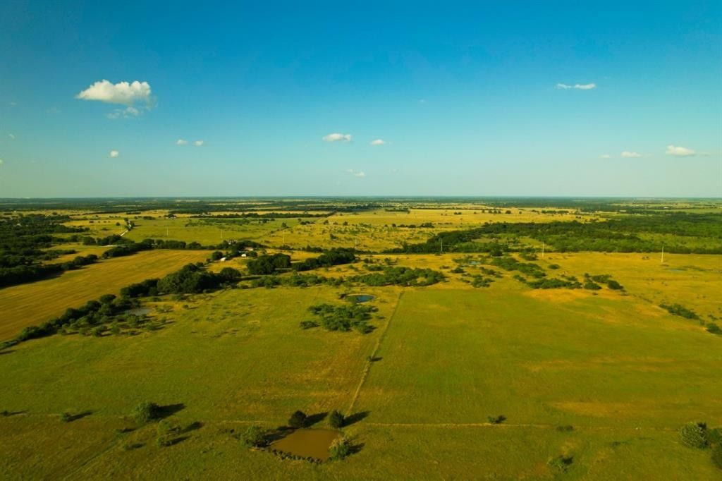 20 Acres, 000 Farm Market 642, Purdon, TX 76679 | Land and Farm