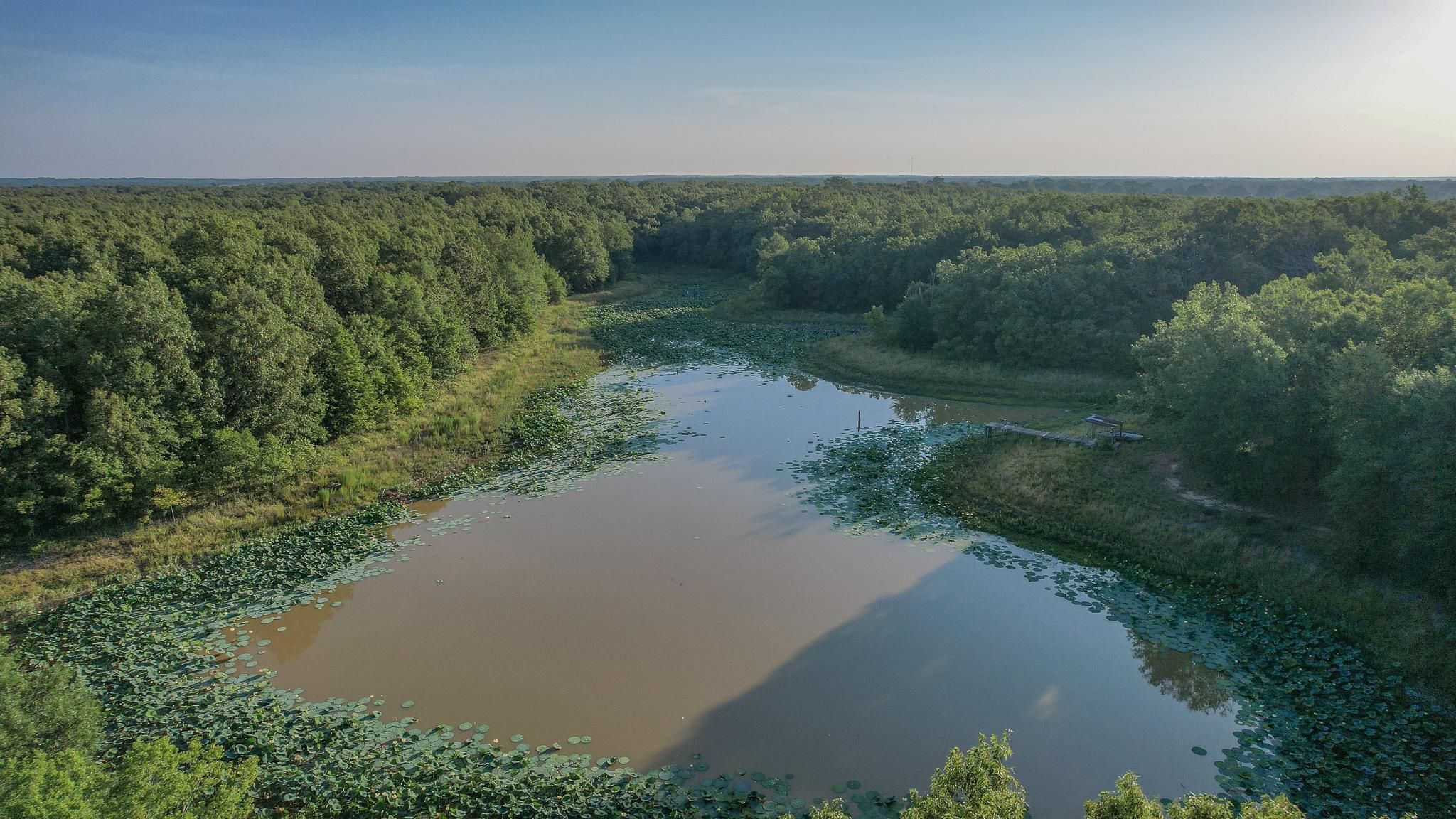 60 acres in Avery, TX, 75554 | MLS: This hunting property has a ...