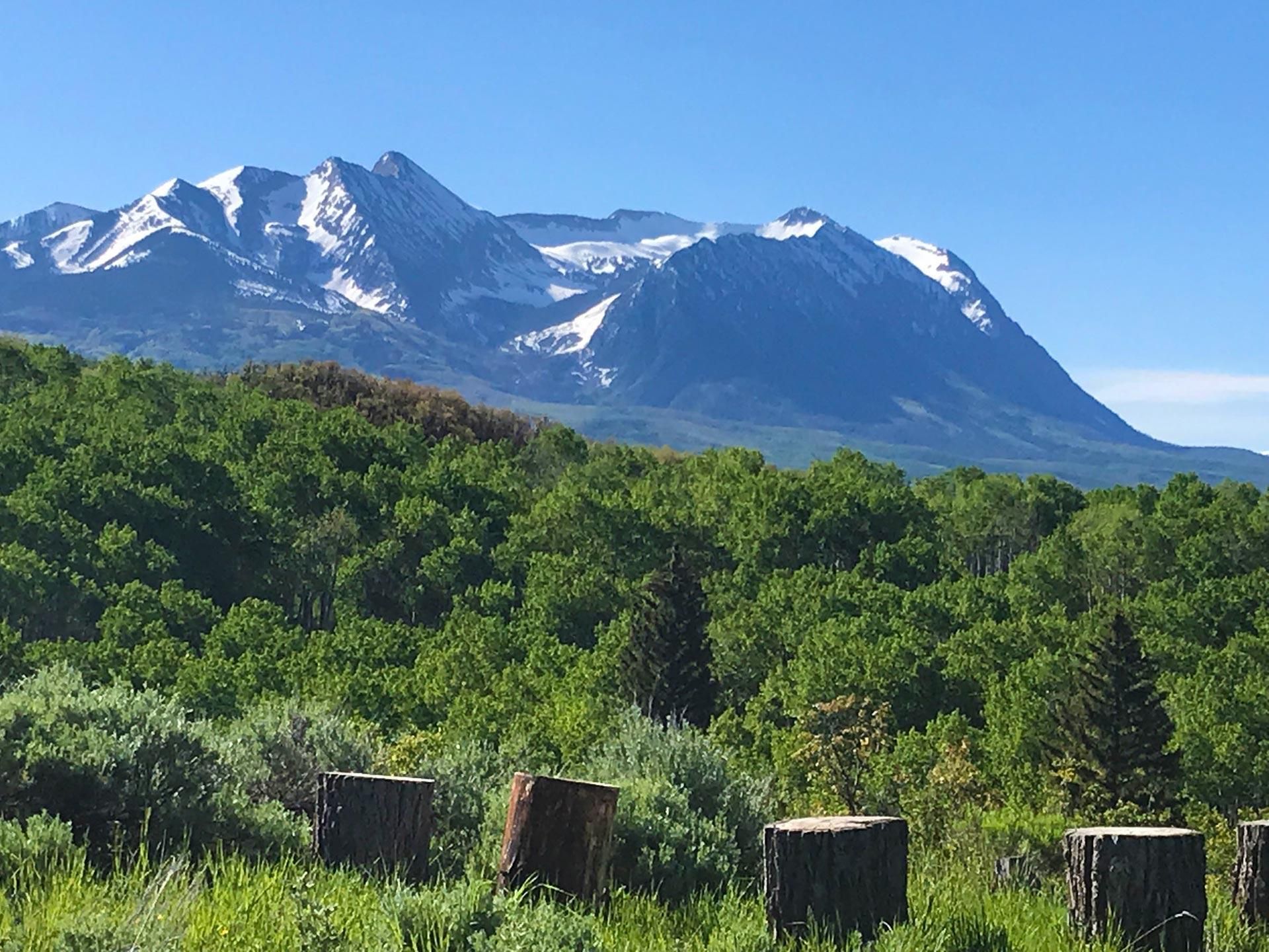 113 acres in Redstone, CO, 81623 | Land and Farm