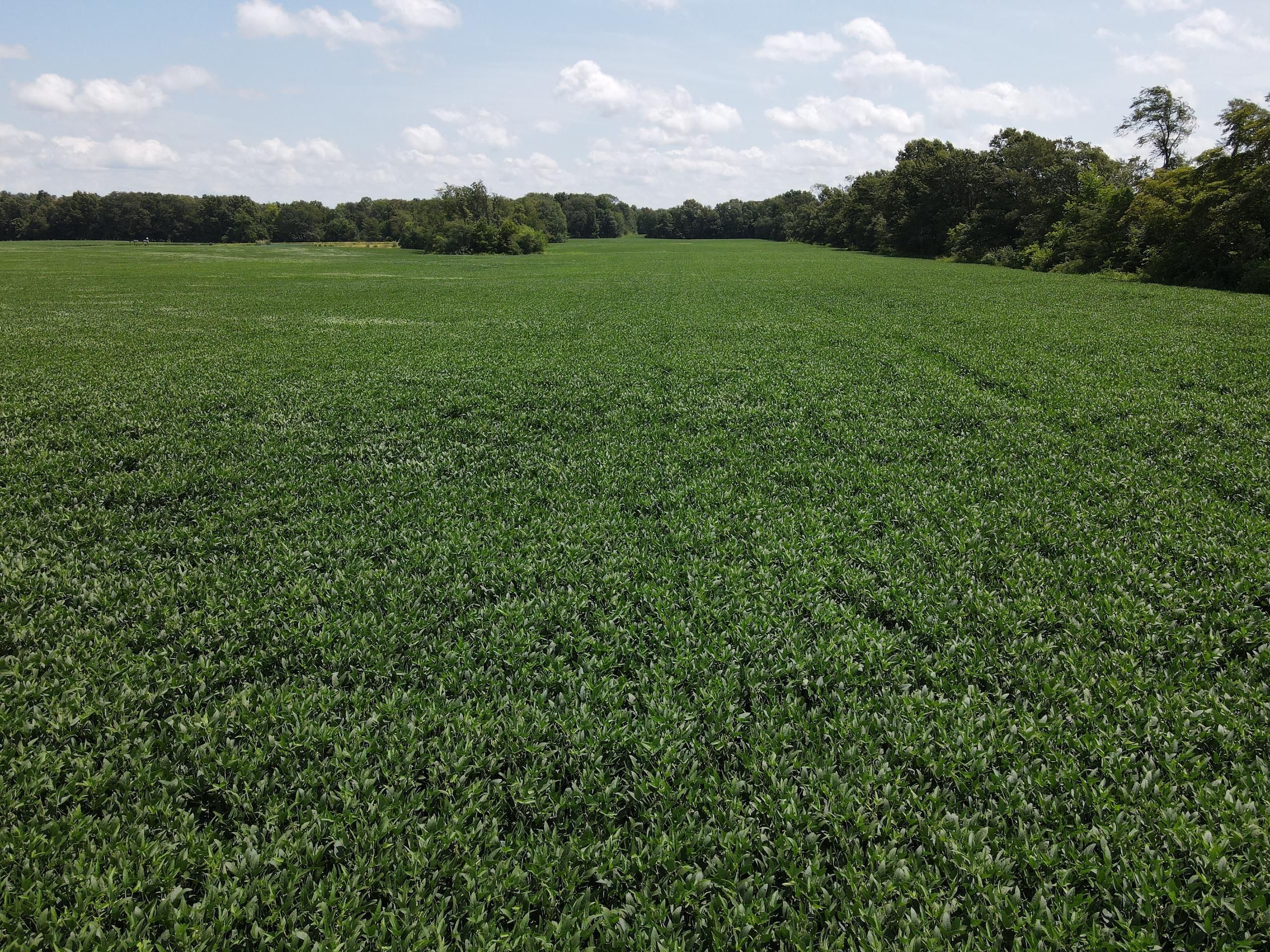 County Road 970 E, Sims, IL 62886 | Land and Farm