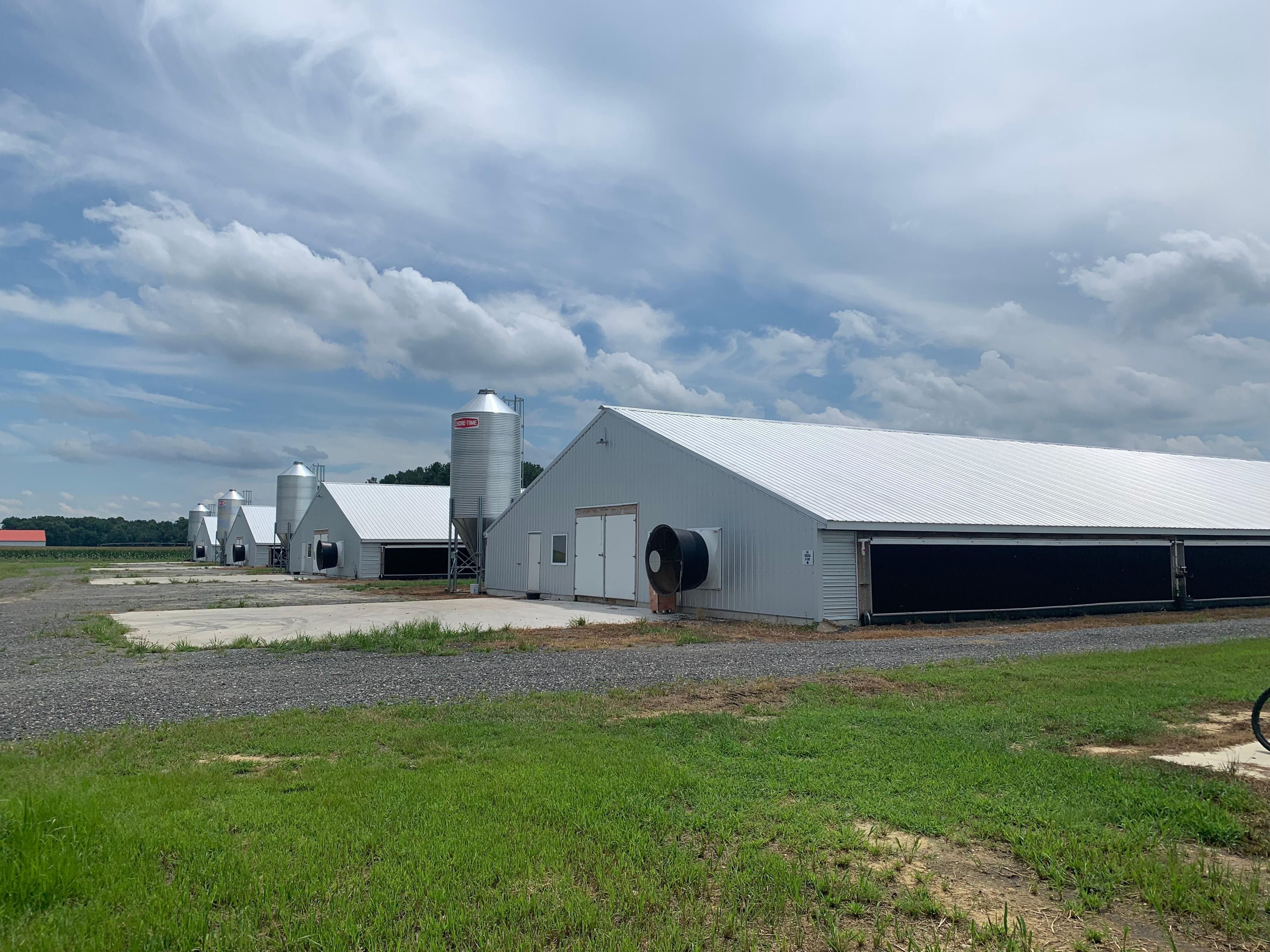 3114 Sharptown Road, Laurel, DE 19956 | MLS: NA | Land and Farm