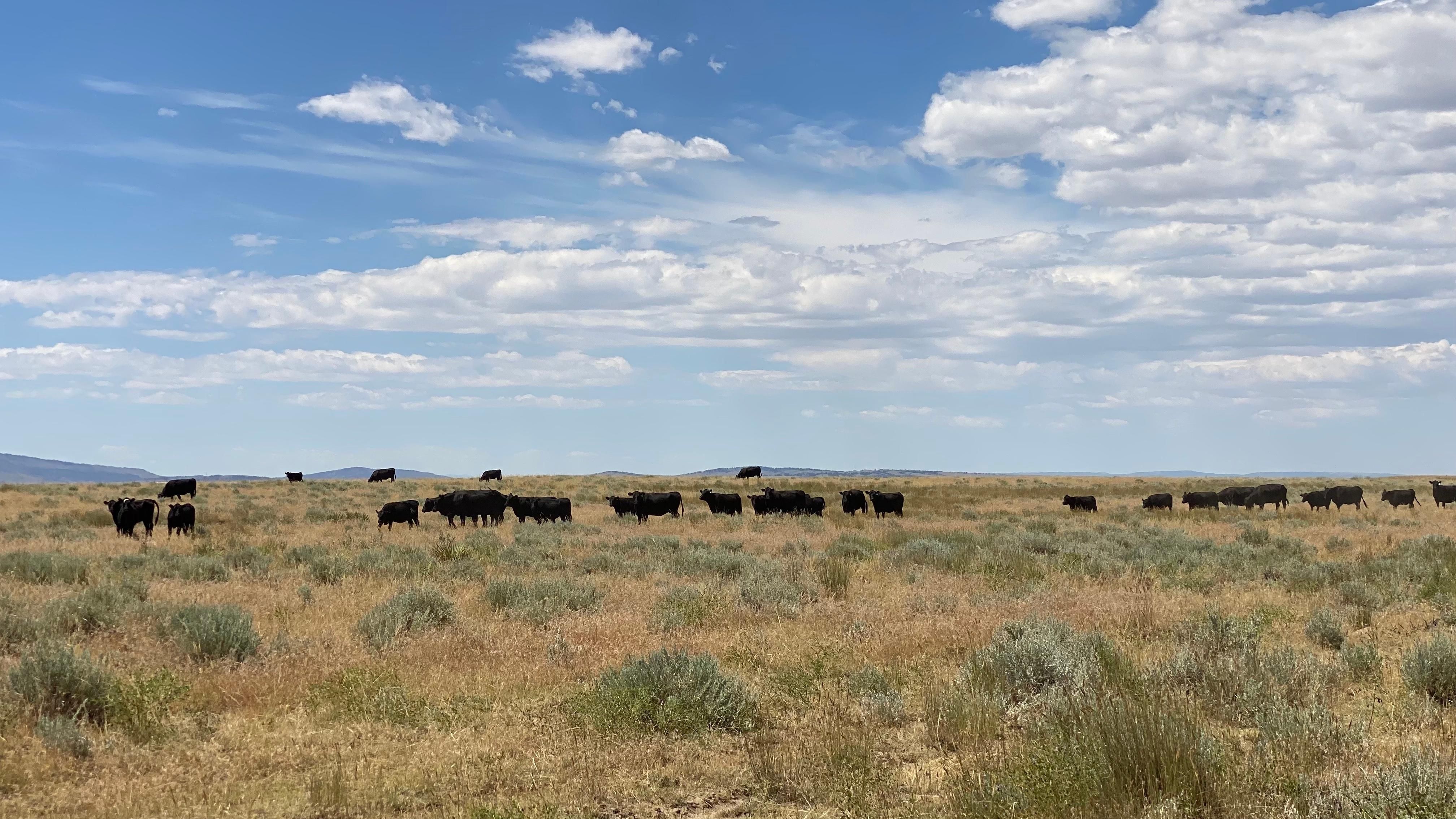 5,220 acres in Casper, WY, 82604 | Land and Farm
