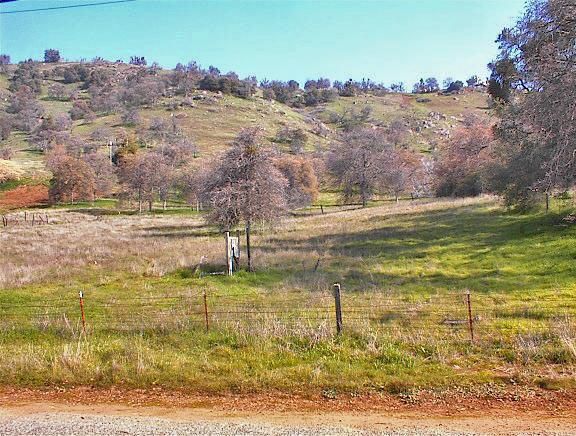 Longview Road, Squaw Valley, CA 93675 | MLS: 572478 | Land and Farm
