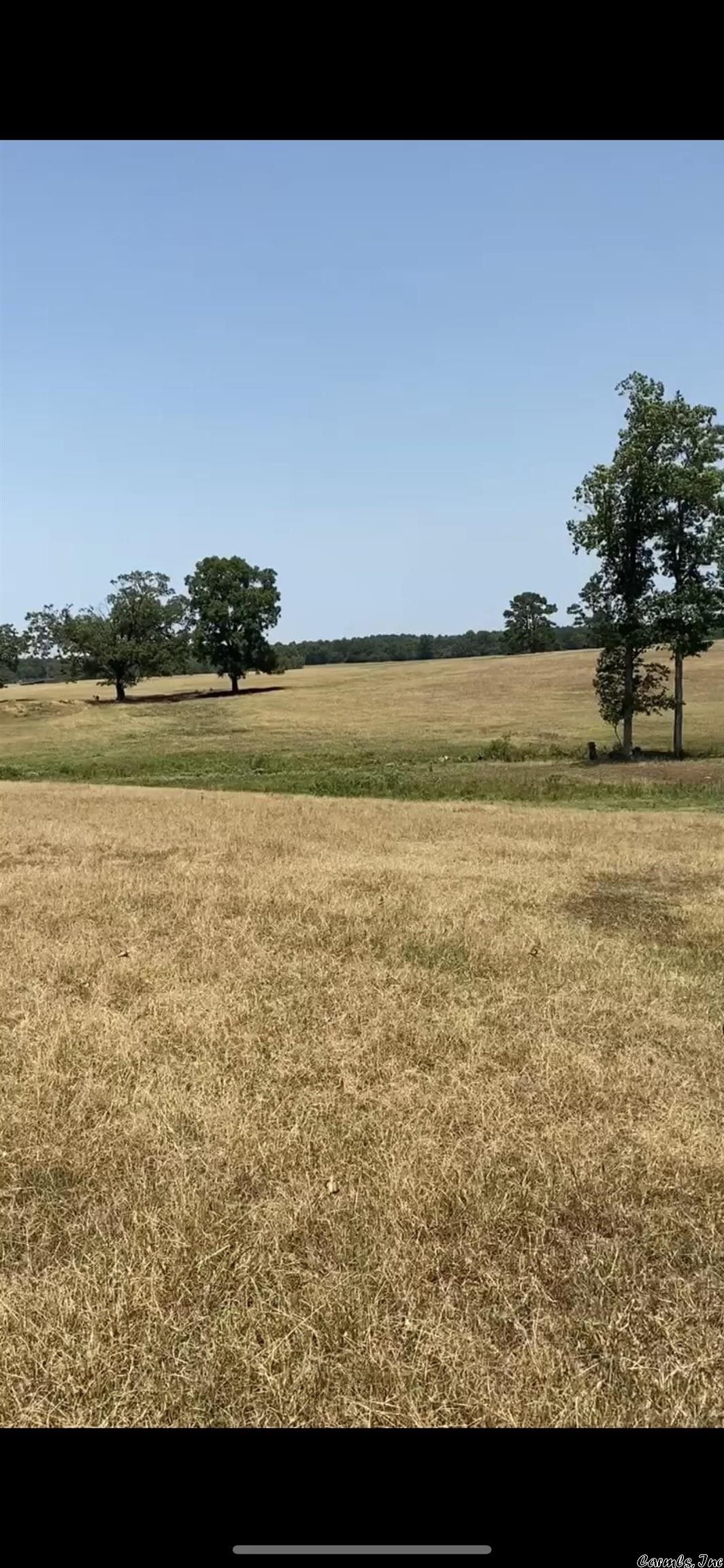 40 Acres, 00 Steel Road, Bee Branch, AR 72013 | Land and Farm