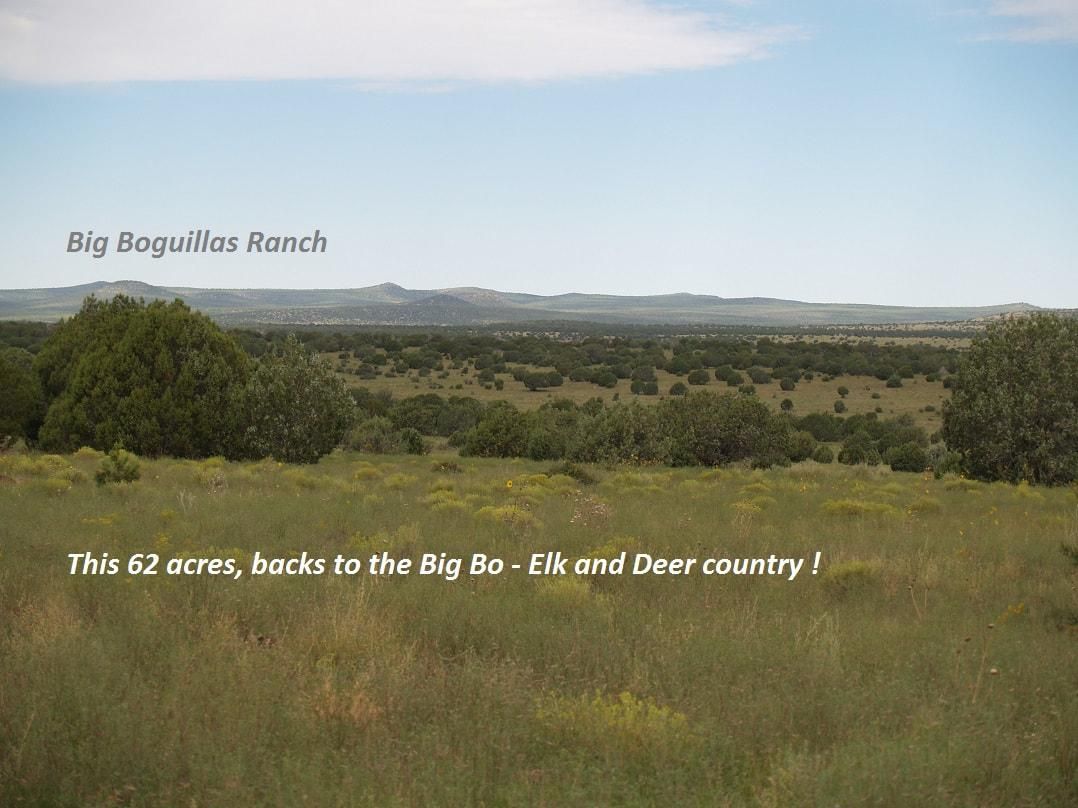 62 acres in Williams, AZ, 86046 | Land and Farm
