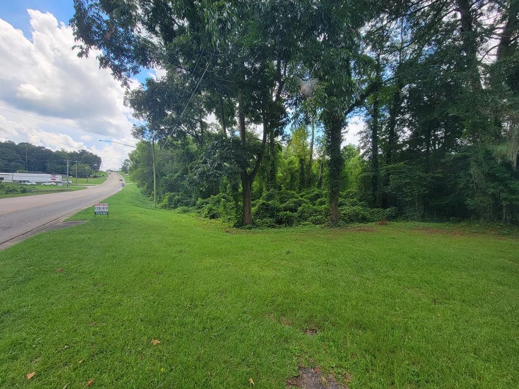 1 Acres, 0 S 3 Notch St, Troy, AL 36081 | Land and Farm