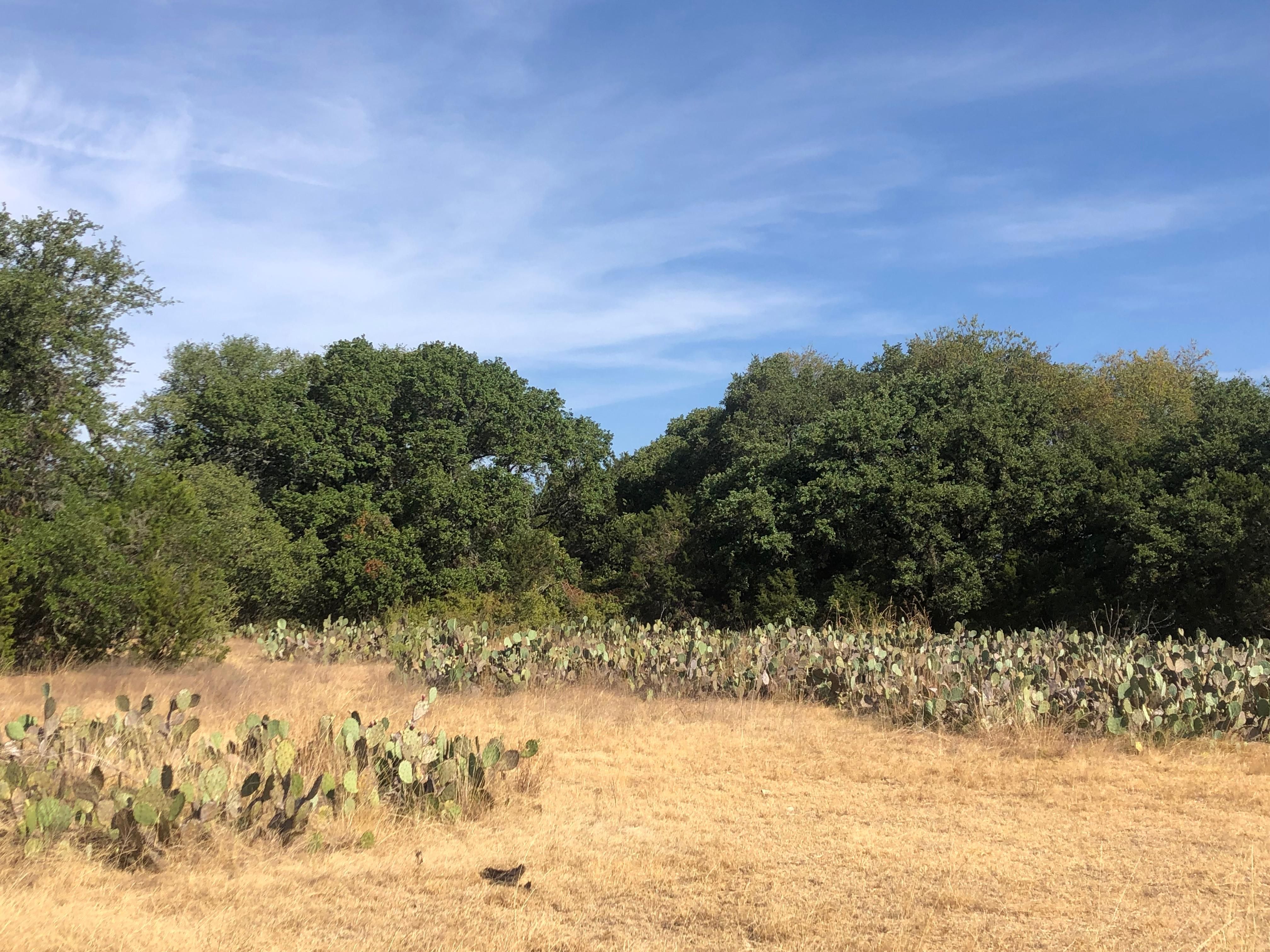 7254 E Middle Bosque, Valley Mills, TX 76689 | Land and Farm