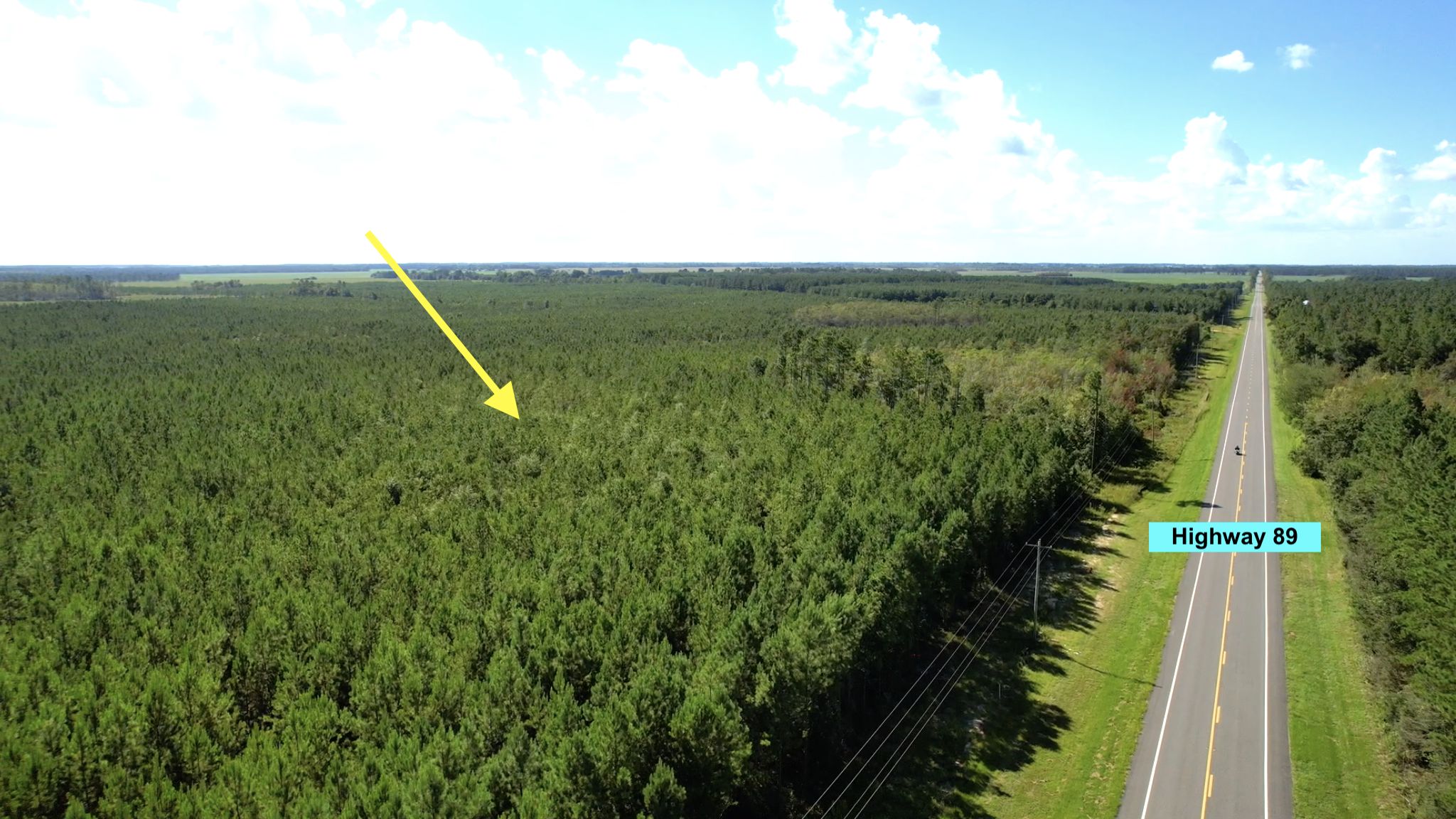 Hwy 89, Jay, FL 32565 | MLS: 615082 | Land and Farm