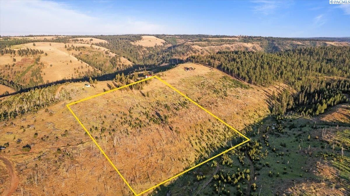 10 Acres, Lot1 Tbd Stevens Ridge, Pomeroy, WA 99347 | Land and Farm