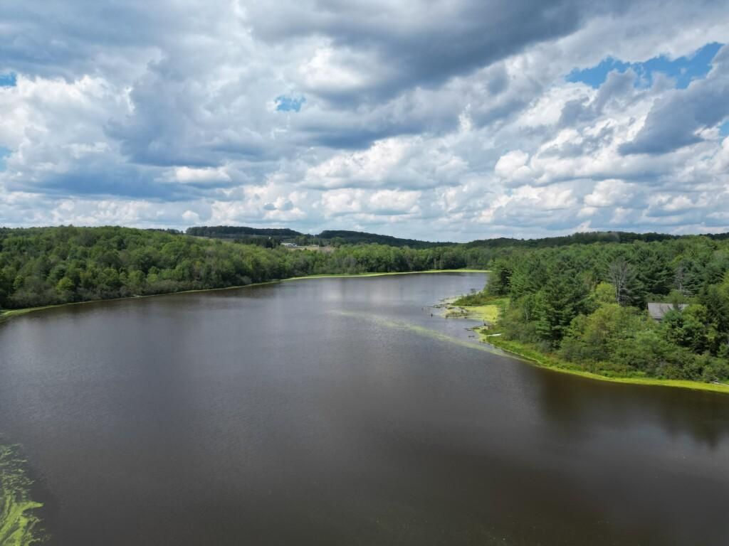 Tobin Road, Addison, NY 14801 | MLS: LQ91449 | Land and Farm