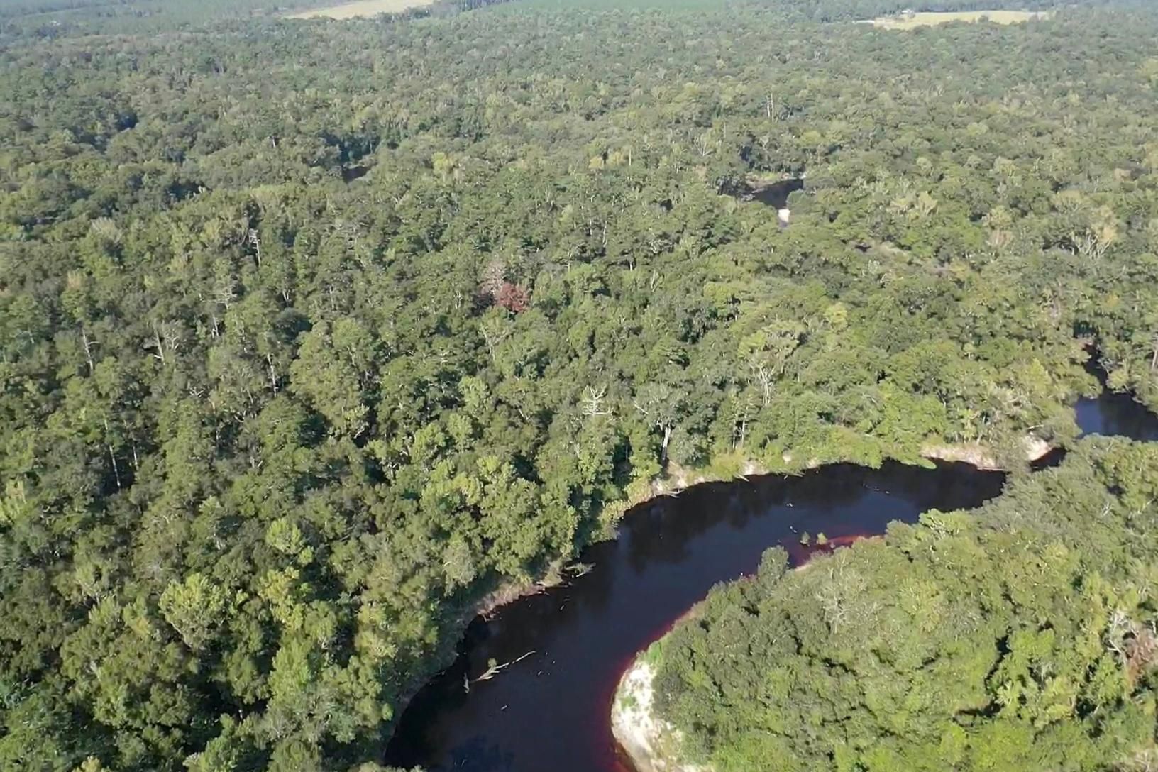 29 acres in Lake Park, GA, 31636 | Land and Farm