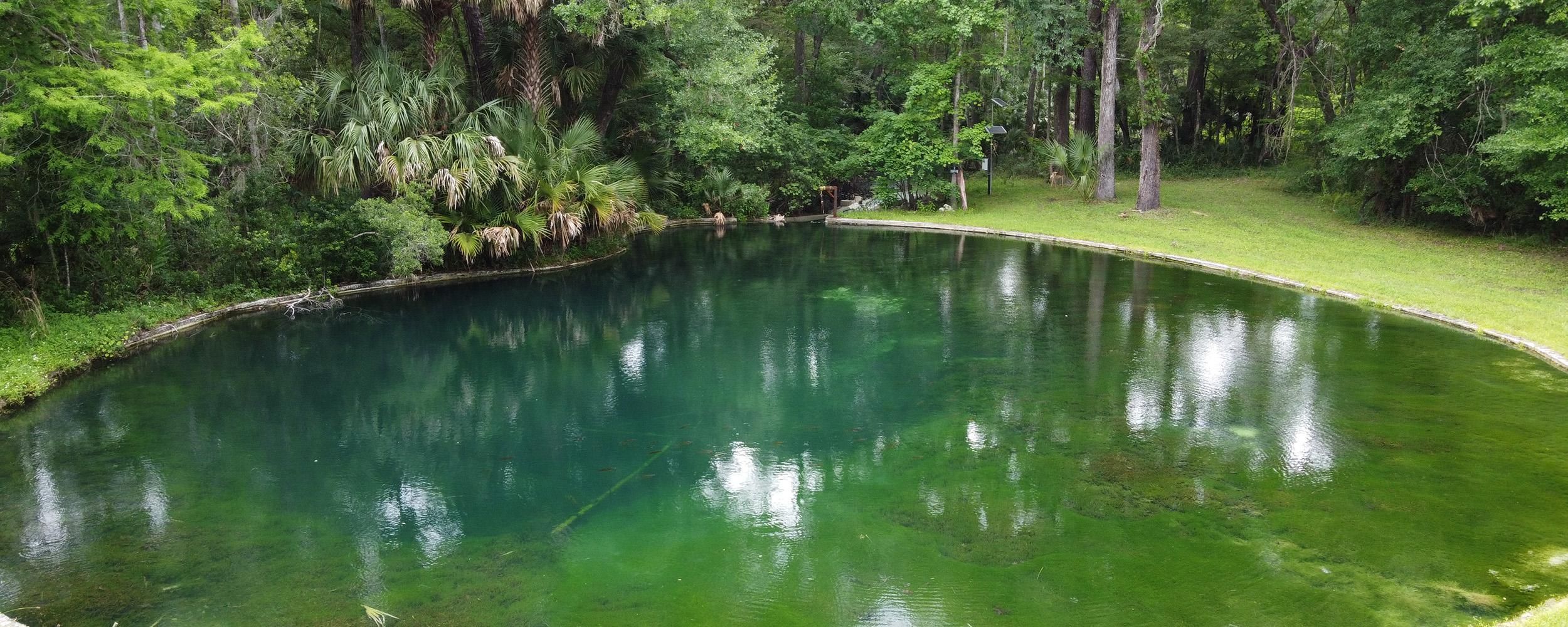 24627 State Highway 21, Orange Springs, FL 32182 | Land and Farm