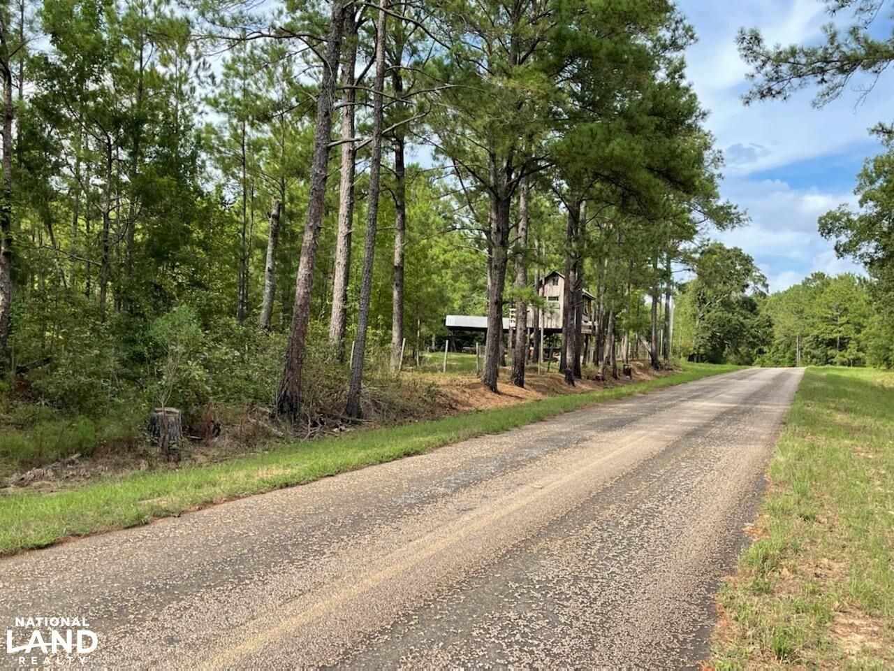 0 Henry County Rd. 31, Abbeville, AL 36310 | Land and Farm
