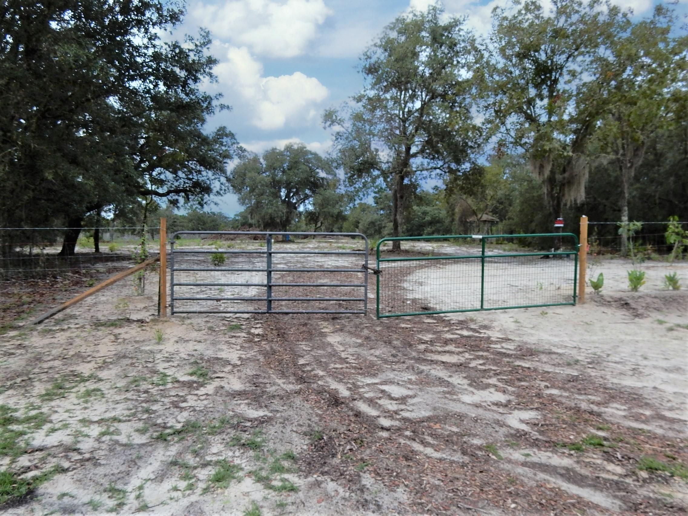 12390 NE 82nd Pl, Bronson, FL 32621 | MLS: OM645847 | Land and Farm