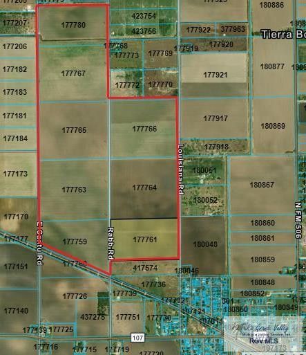 00 N RABB RD., Santa Rosa, TX 78593 | MLS: 29735781 | Land and Farm