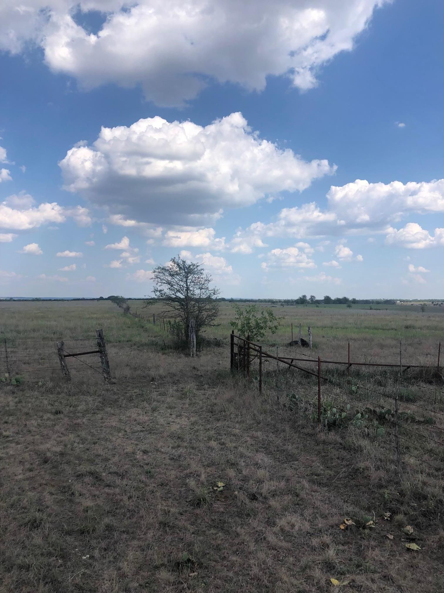 TBD County Road 139, Gatesville, TX 76528 | Land and Farm