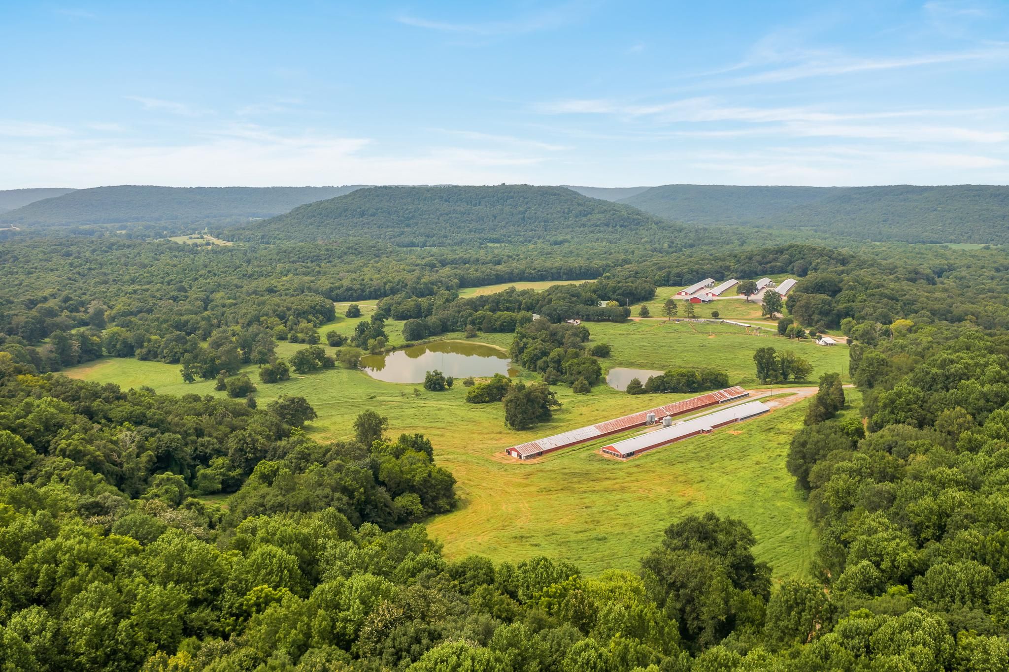 243 Acres, 447 Forman Bottoms Road, Somerville, AL 35670 | Land and Farm