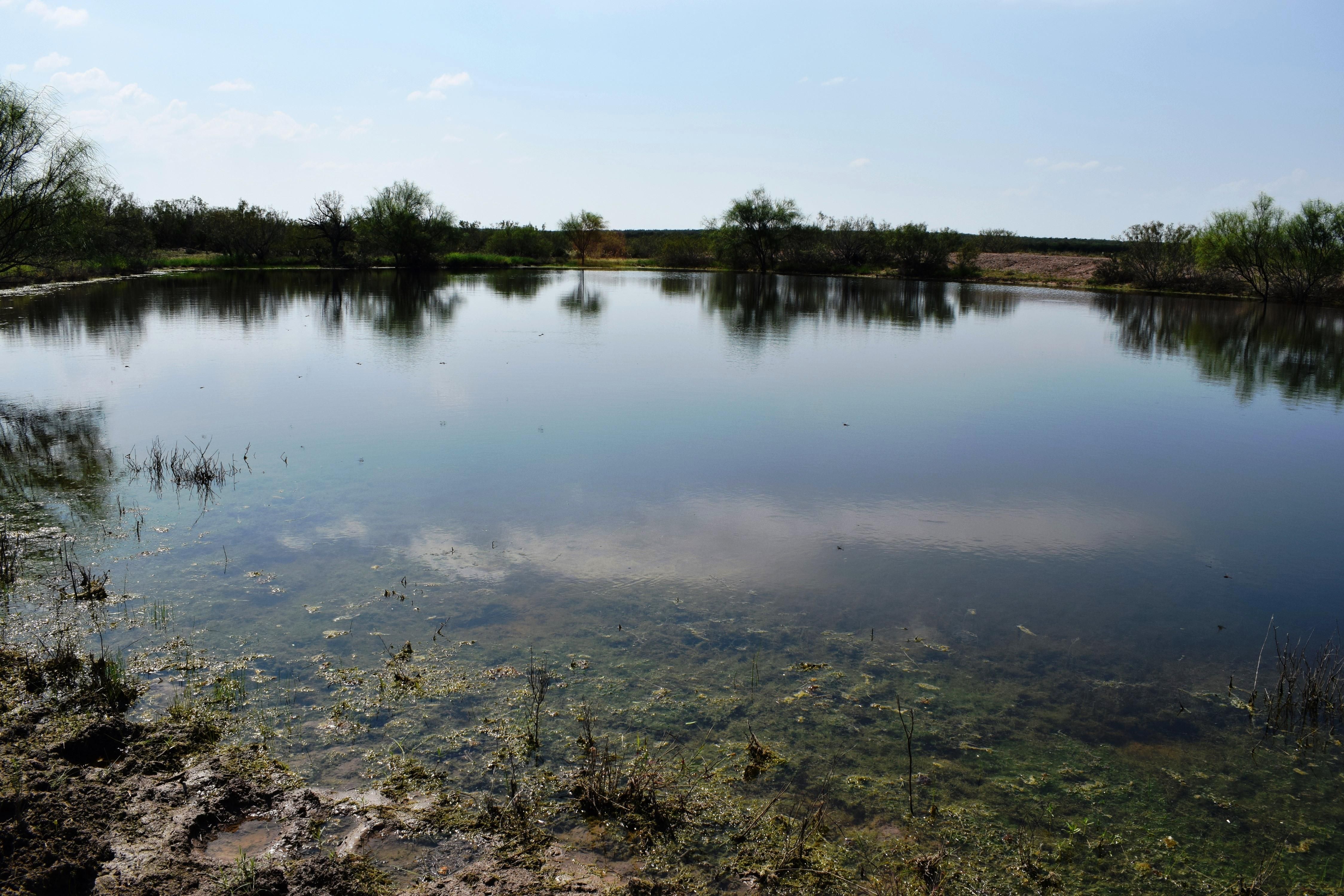 Texas 44, Freer, TX 78357 | Land and Farm