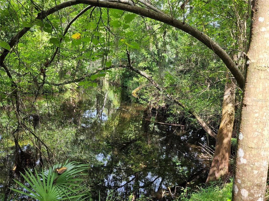 0.6 Acres, 3615 ELFERS PARKWAY, New Port Richey, FL 34655 | Land and Farm