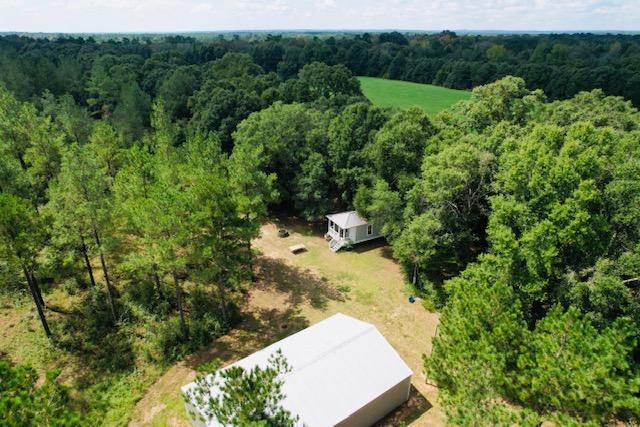 91 Acres, State Line, MS 39362 | Land and Farm